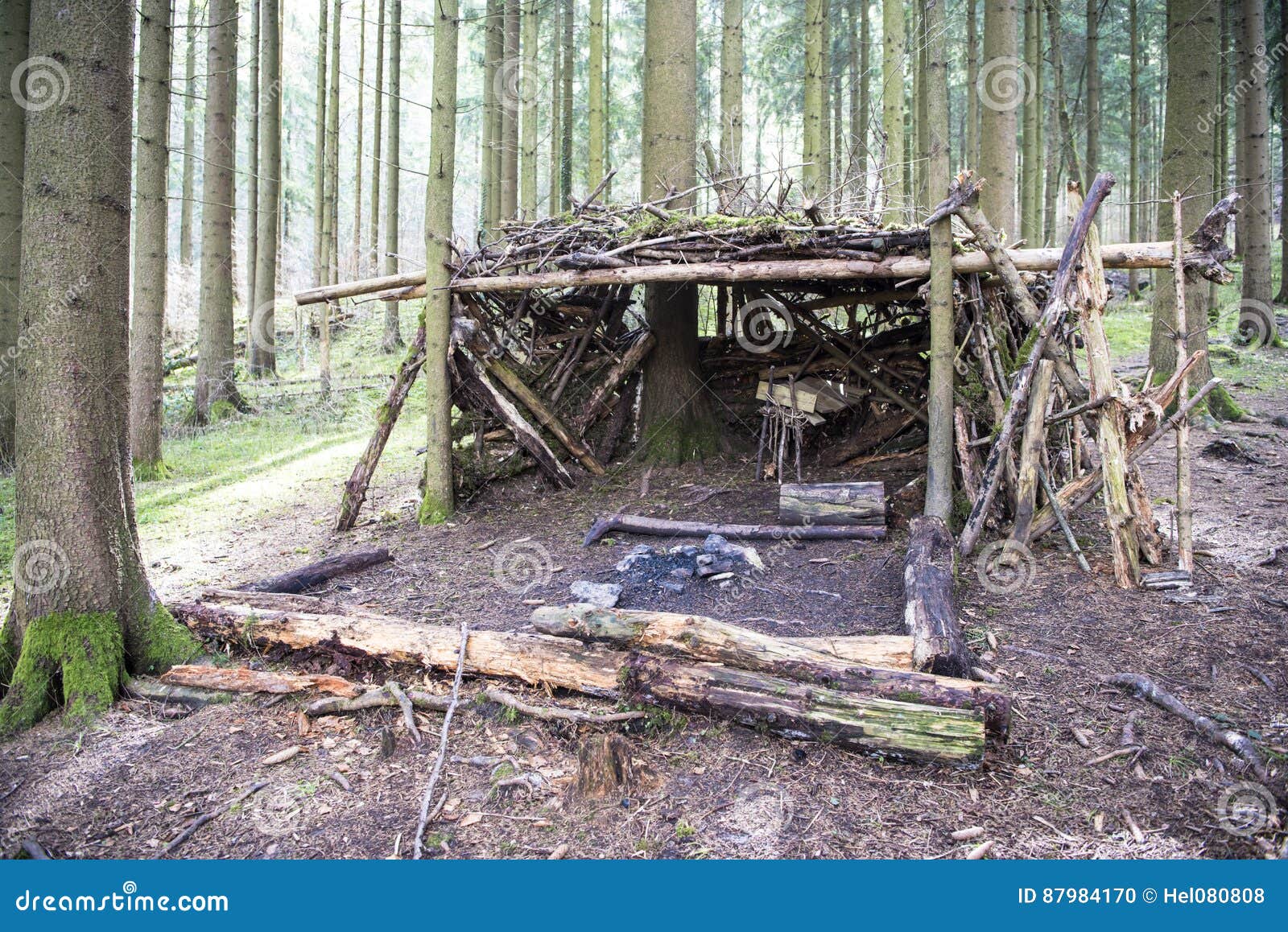 Branch hut in forest stock photo. Image of shack, moss - 87984170