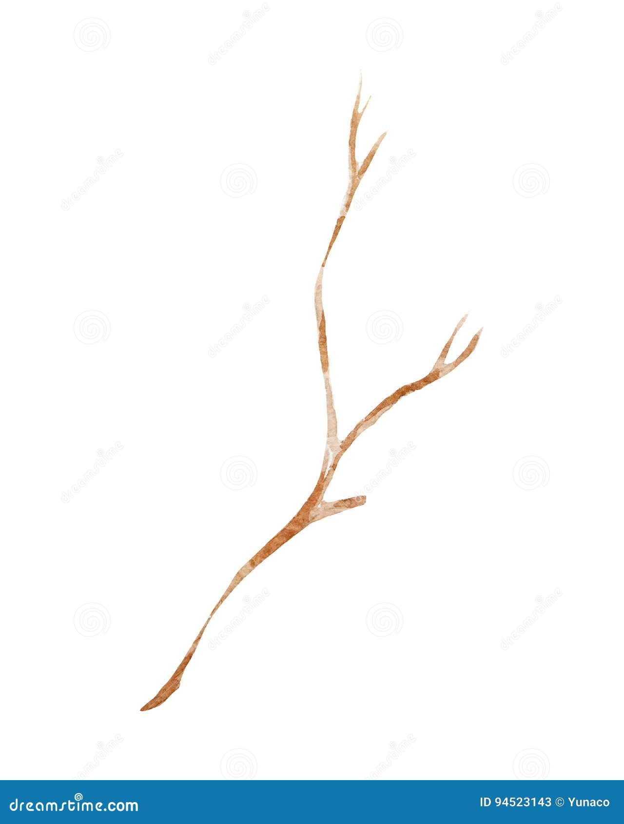 Branch Illustration. Hand Drawn Watercolor on White Background. Stock ...