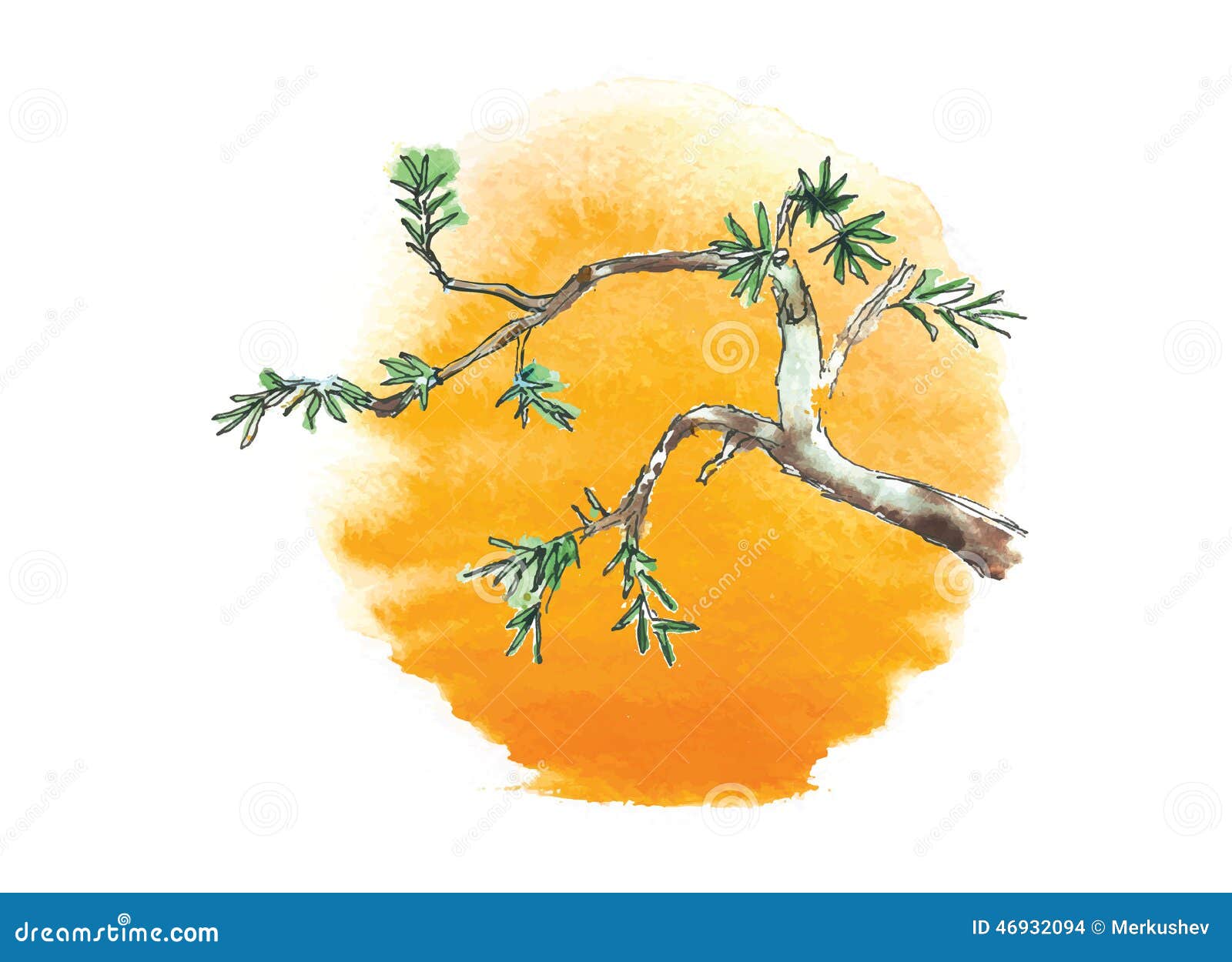 Branch of Juniper Tree Against the Sun, Vector Stock Vector ...