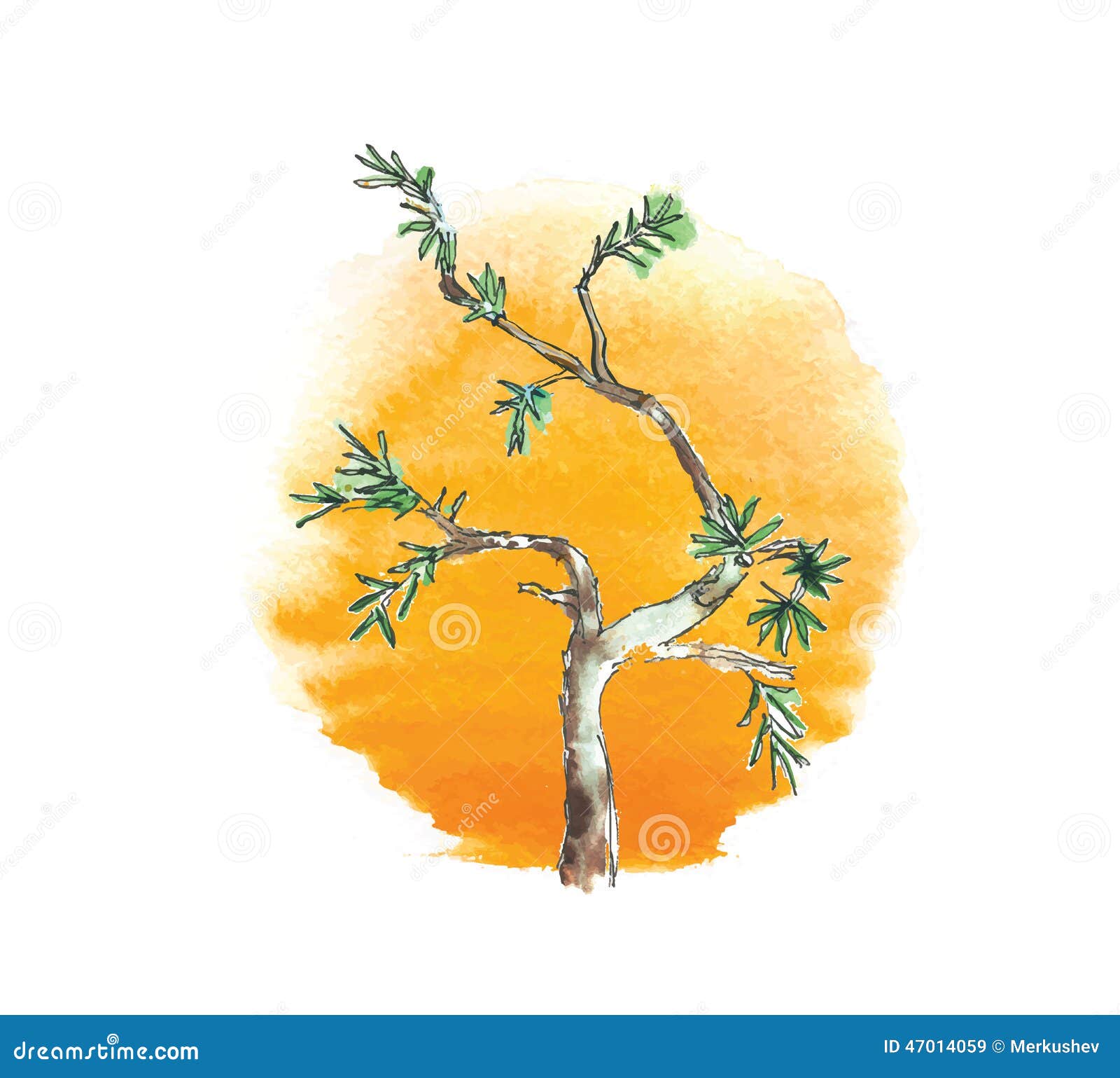 Branch of Juniper Tree Against the Sun, Vector Stock Vector ...