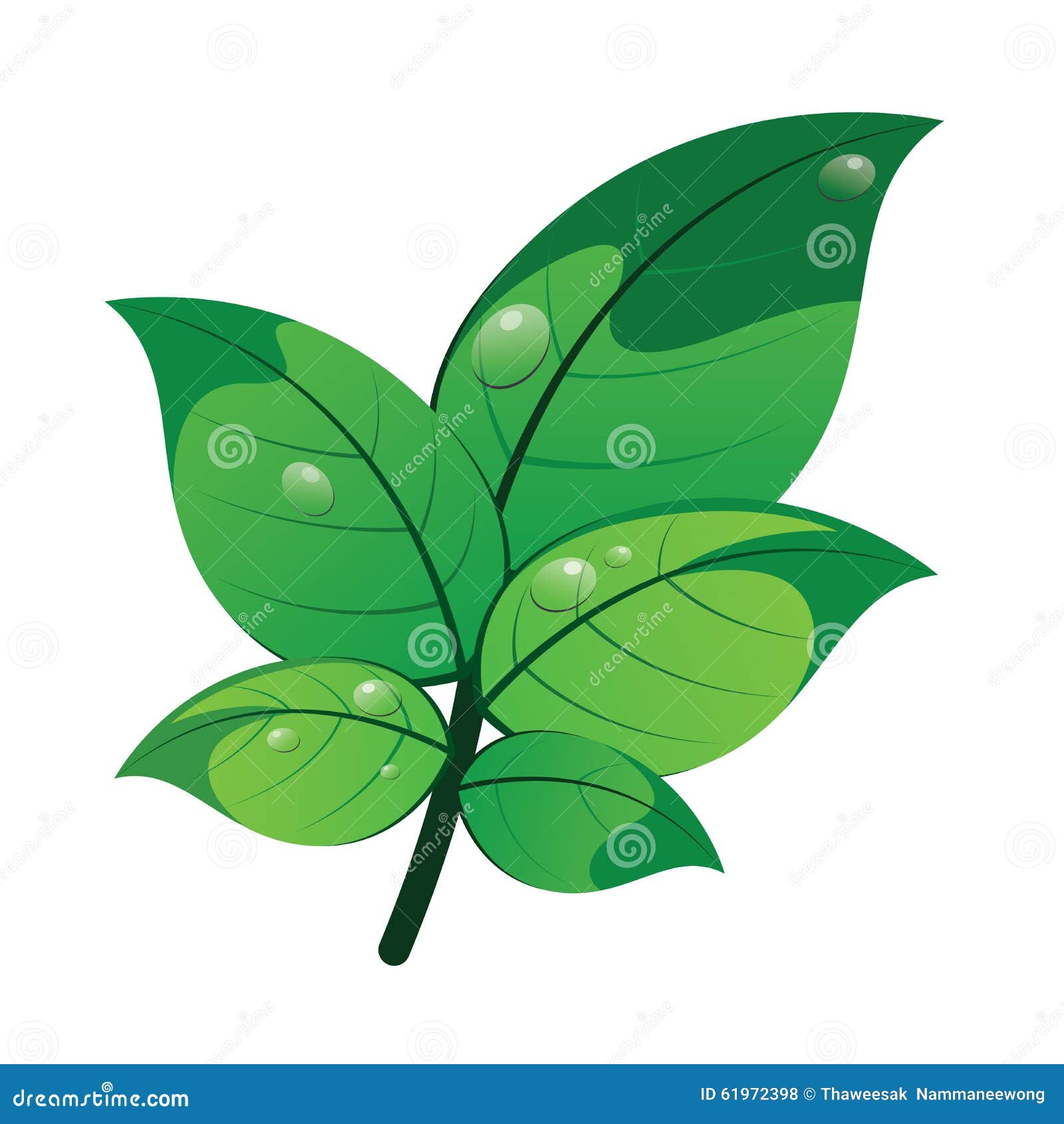 Branch and Leaf with Dew stock vector. Illustration of fresh - 61972398