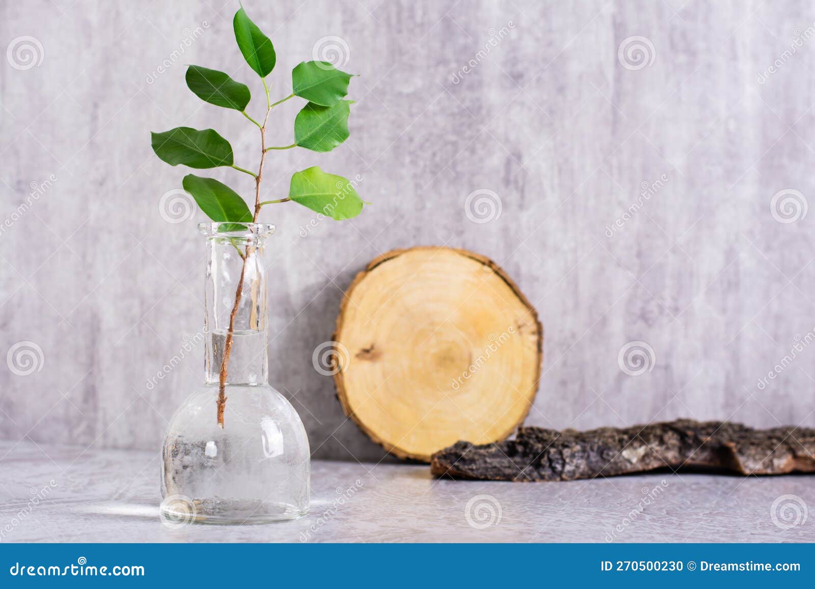 Branch with Leaves in a Bottle of Water and Natural Materials. Caring ...