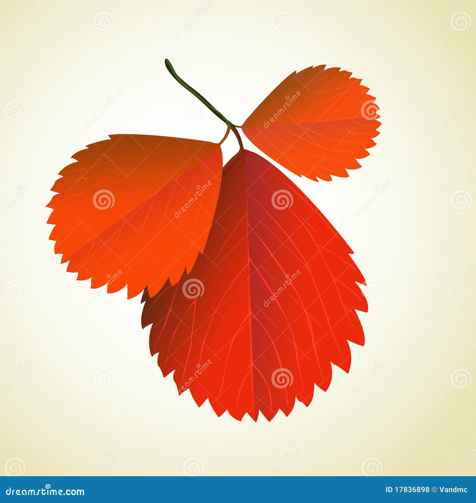 Branch with leaves down stock vector. Illustration of composition ...