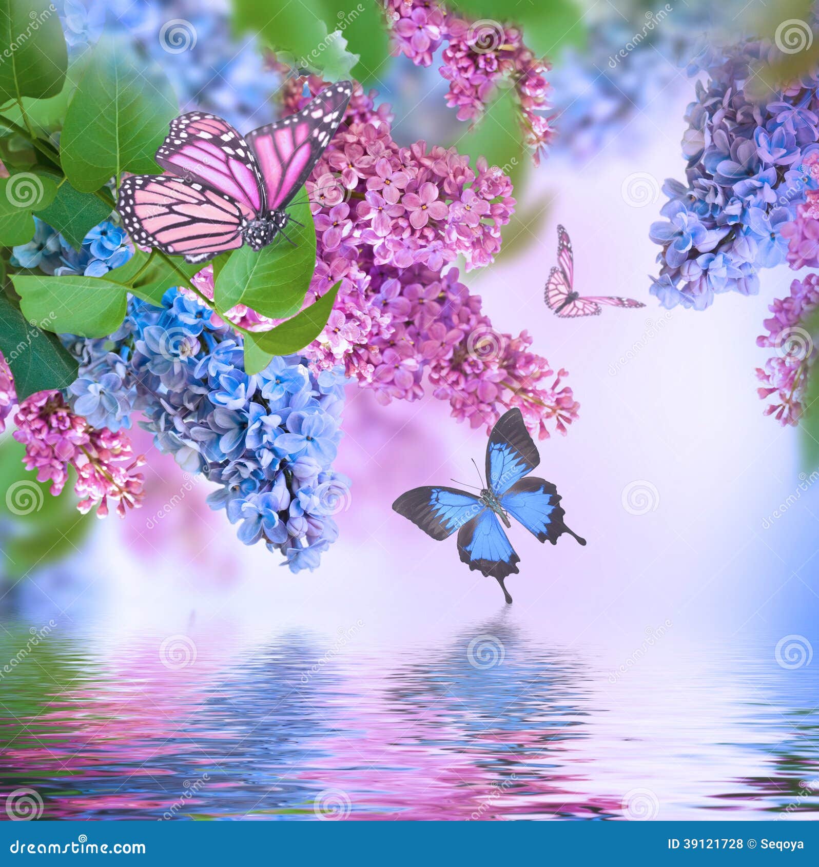 Pink Butterflies And Flowers