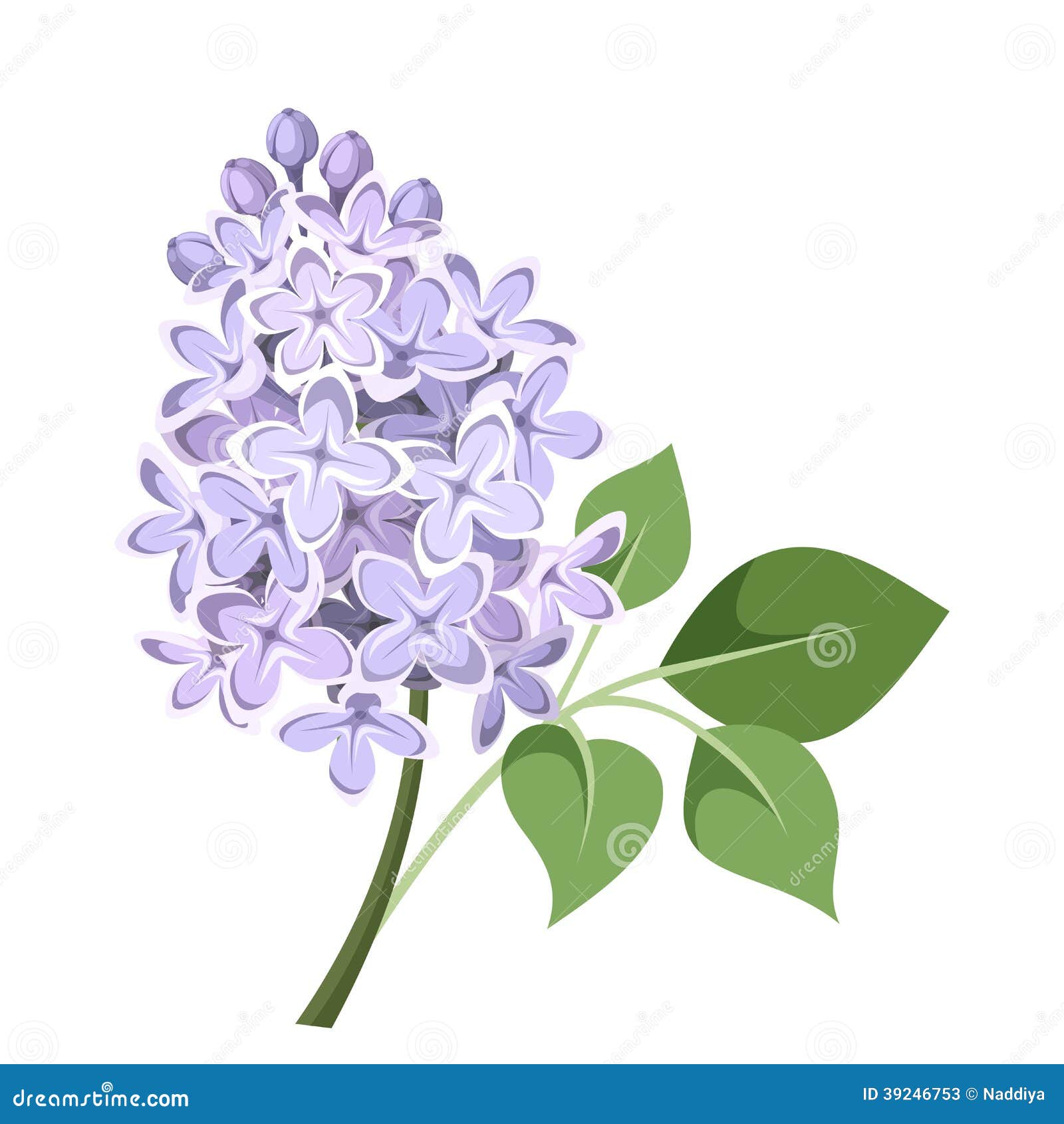 Branch of Lilac Flowers. Vector Illustration. Stock Vector ...