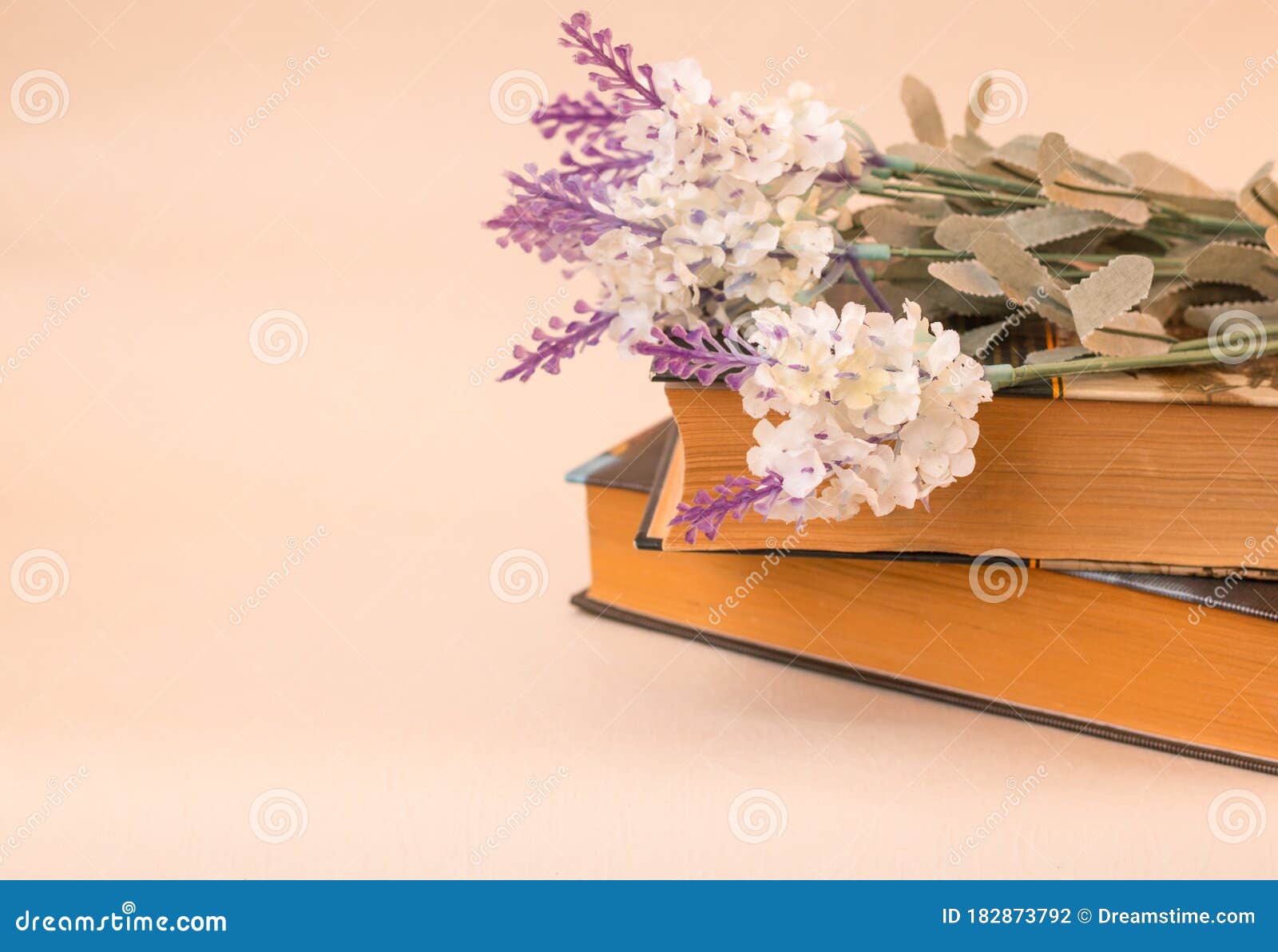 A Branch of Lilac Lies on a Stack of Books on a Light Background. Side ...