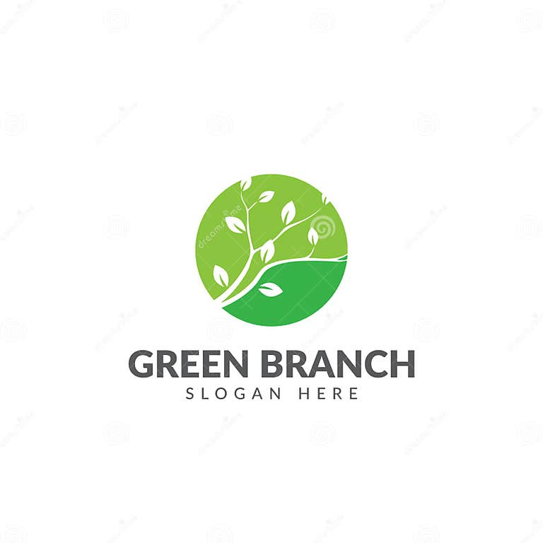 Branch Logo or Icon Vector Design Template Stock Vector - Illustration ...