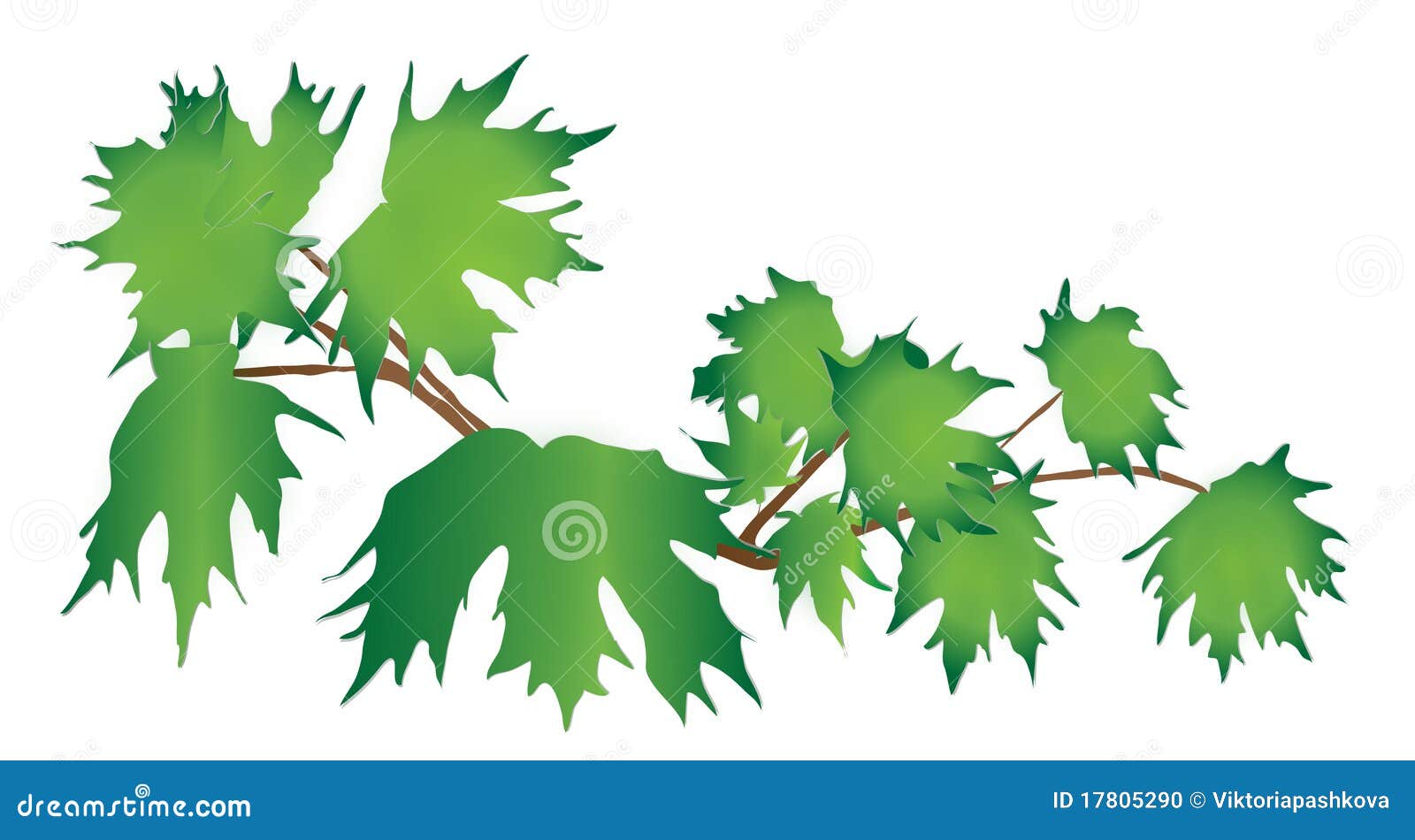 Branch maple stock illustration. Illustration of pattern - 17805290