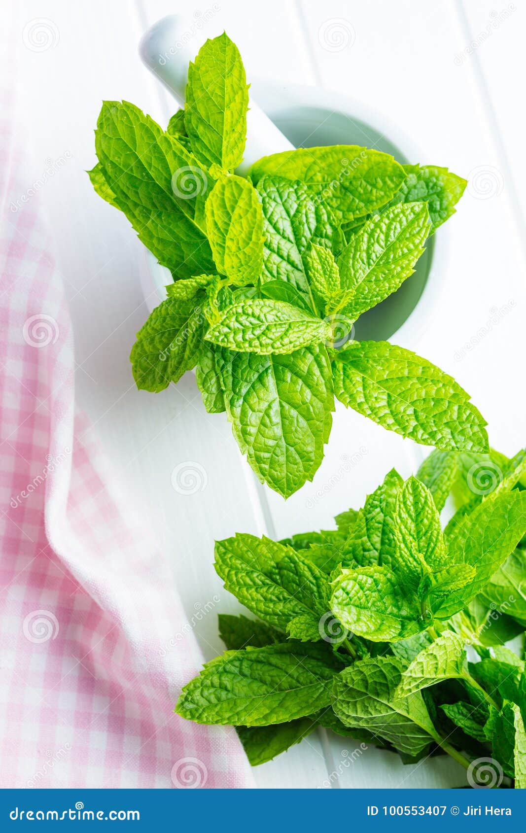Branch mint leaves. stock image. Image of color, healthcare - 100553407