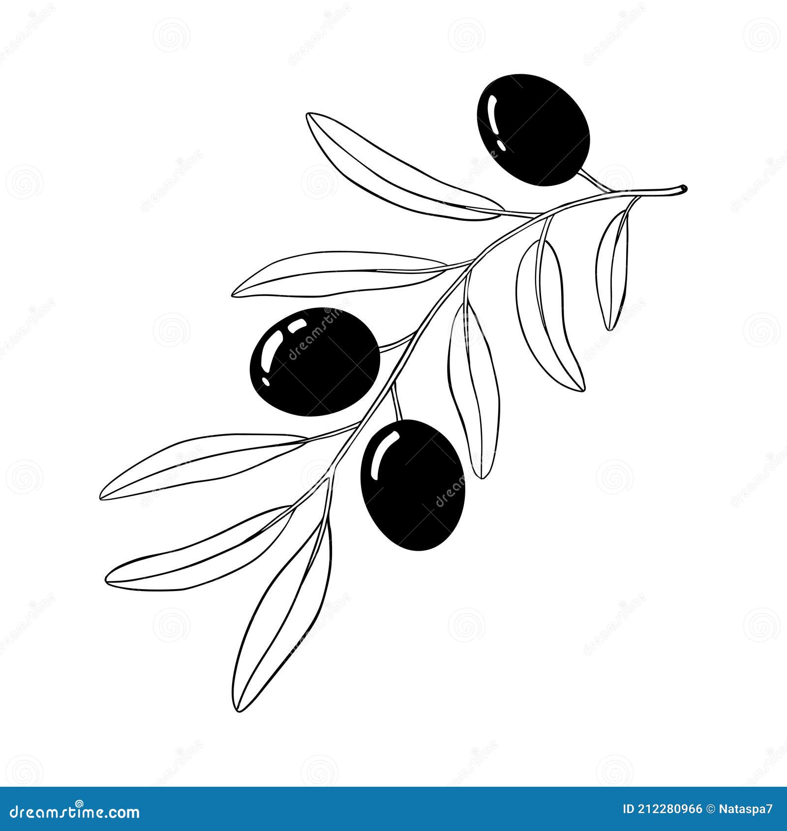 Branch Olive Tree. Black and White Outline Silhouette Stock Vector ...