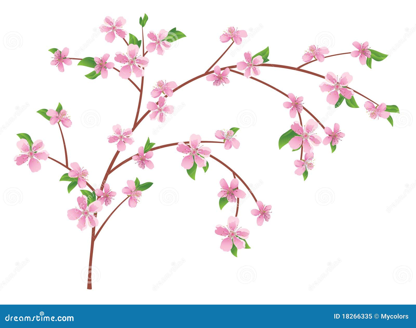 Branch of Peach with Blooming Flowers - Vector Stock Vector ...