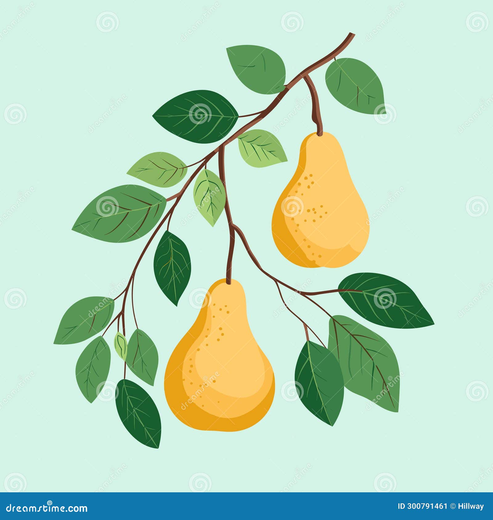 Branch of Pear Tree. Flat Vector Illustration Stock Vector ...
