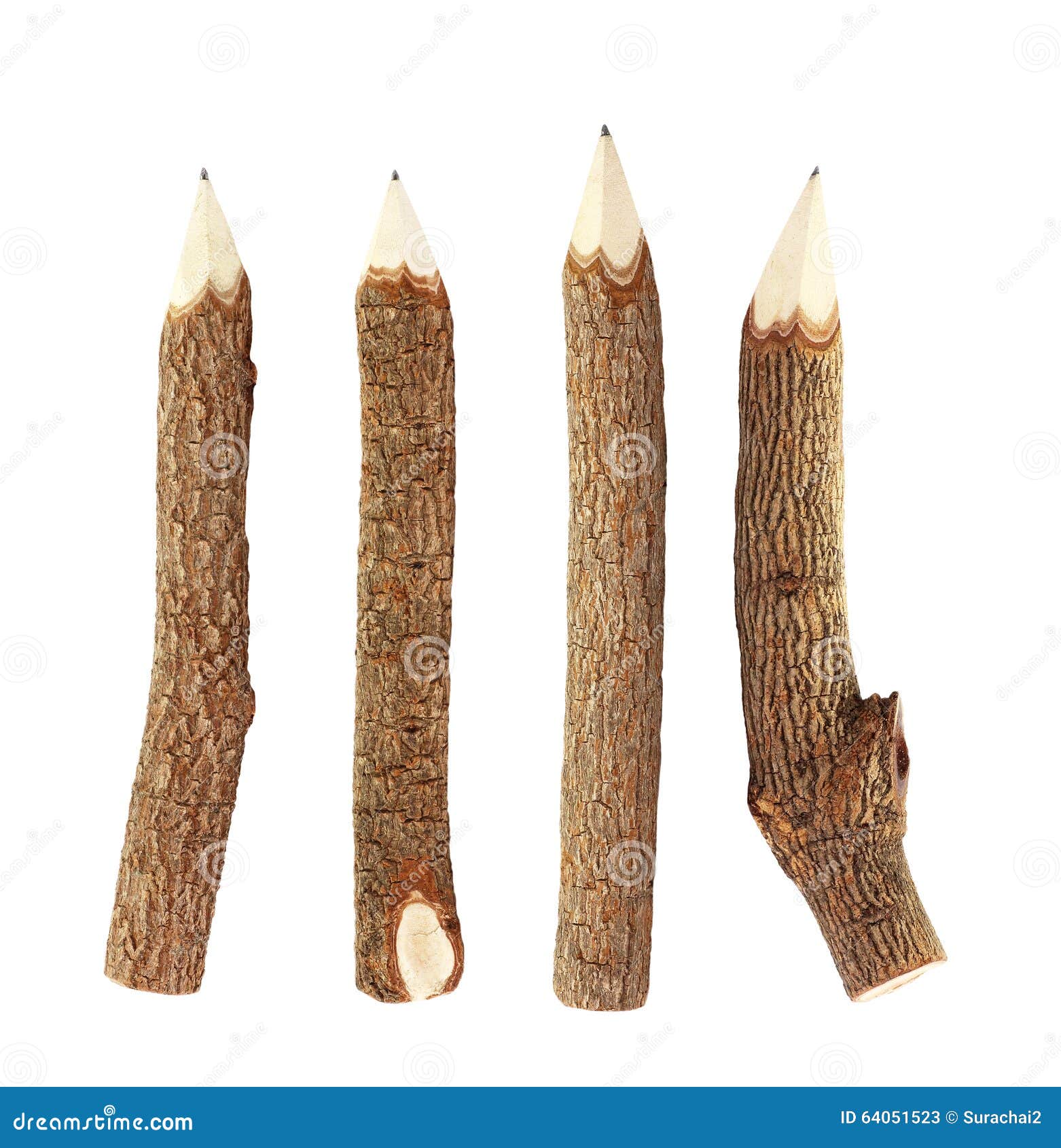 Branch pencil on white stock image. Image of school, bark - 64051523