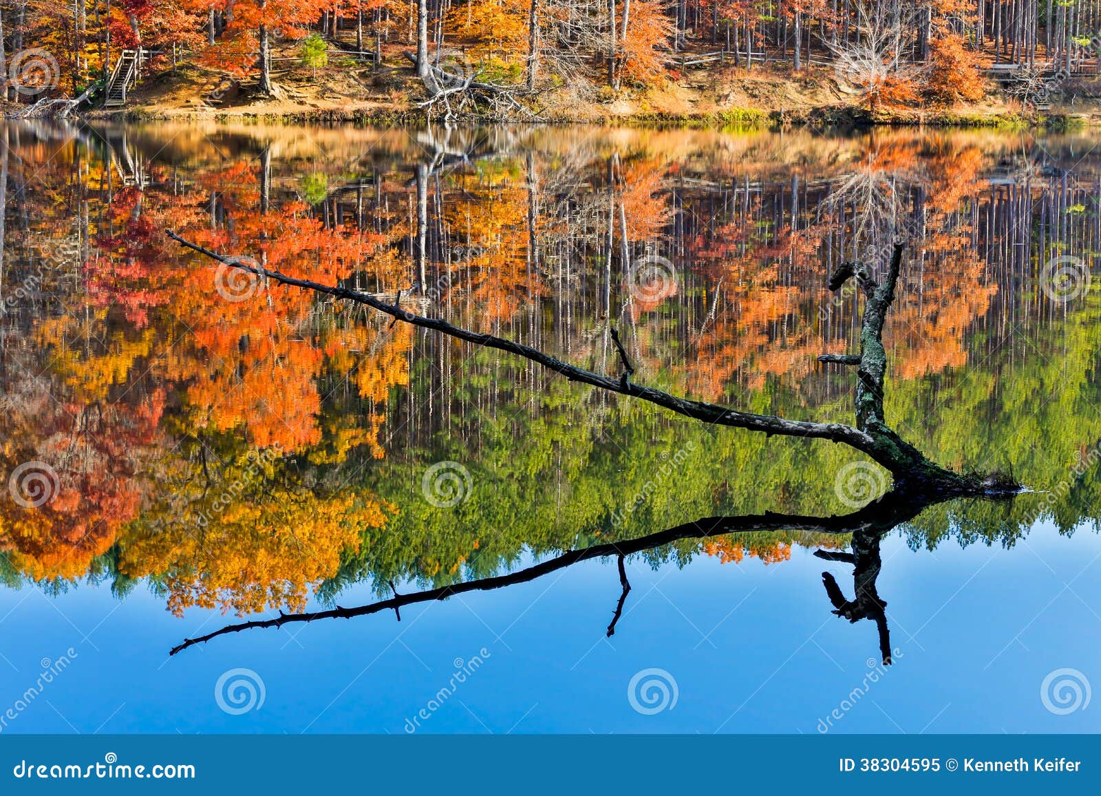 Branch Protrudes from Autumn Lake Stock Image - Image of shore, state ...