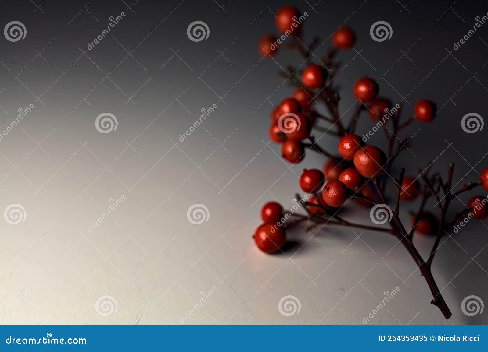 Branch with Red Berries on a Gray Surface Seen Up Close Stock Image ...