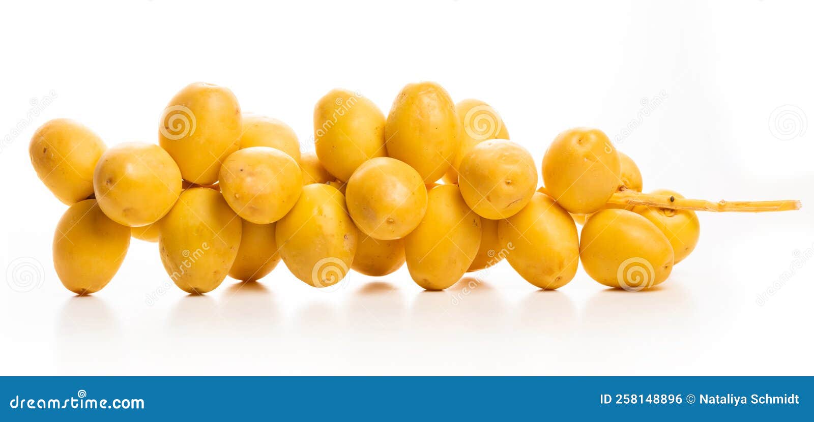 Branch with Ripe Dates. Isolate Stock Photo - Image of background ...