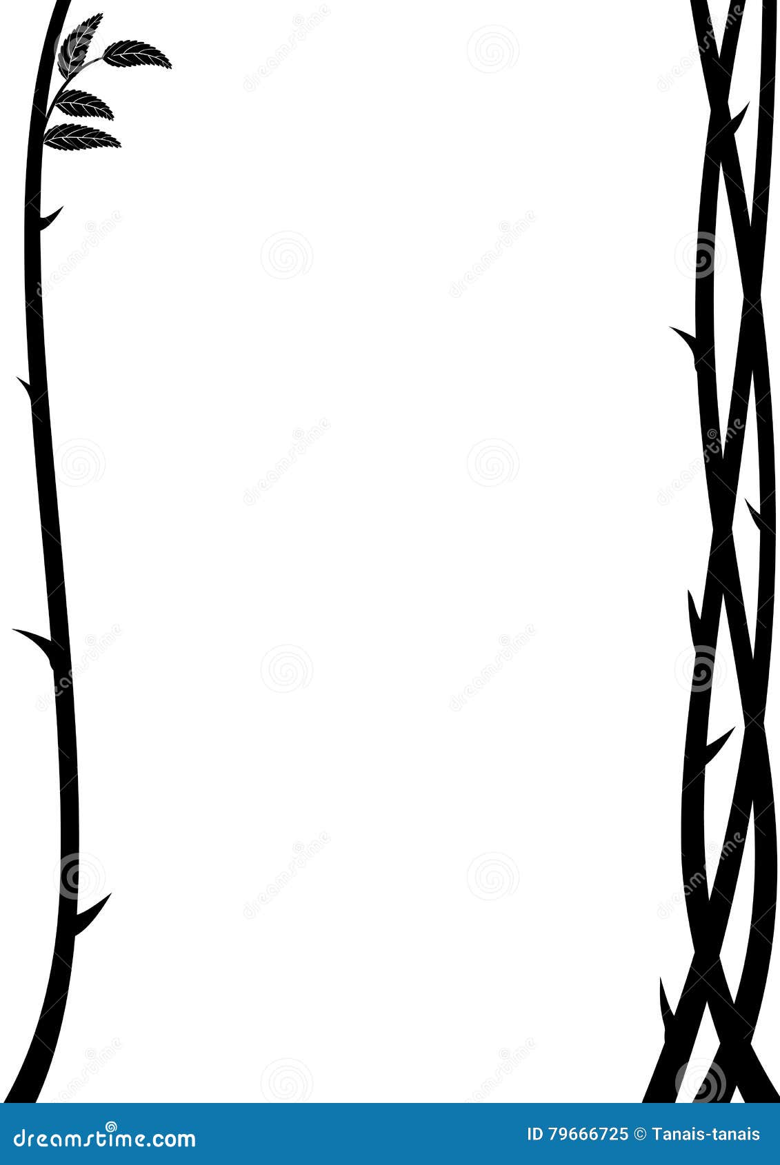 Rose Border With Thorns