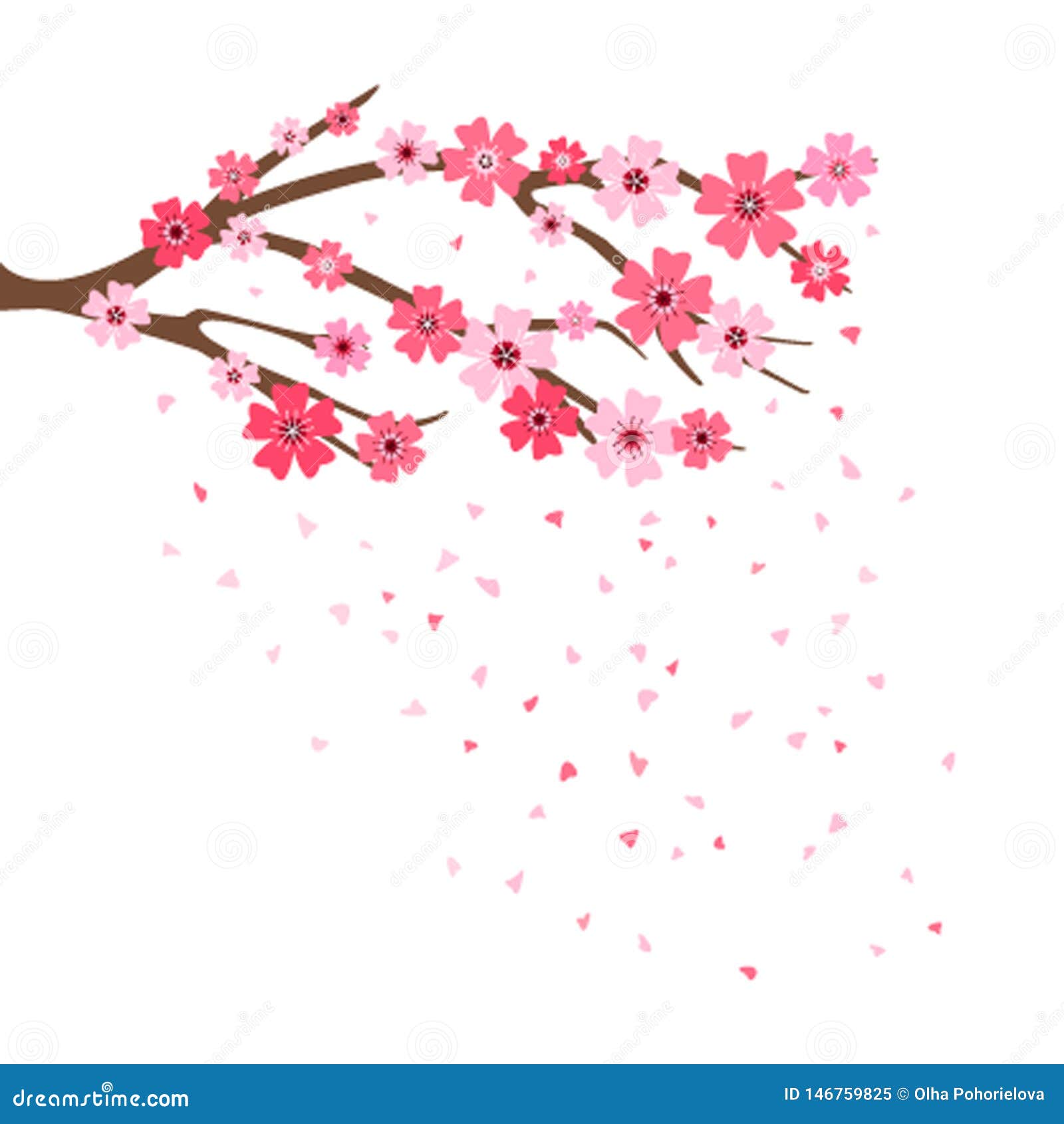 Branch of Sakura with Flowers. Cherry Blossom Branch with Petals ...