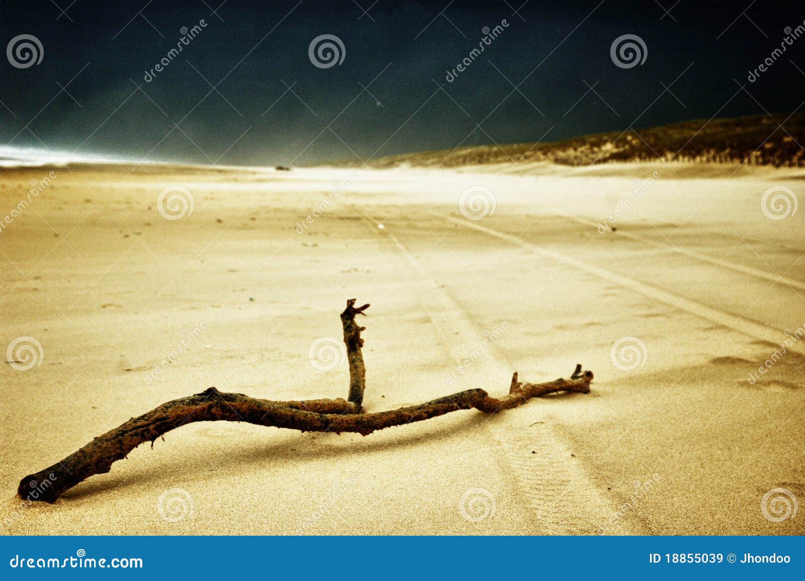 Branch on sand stock image. Image of colors, waves, overcast - 18855039