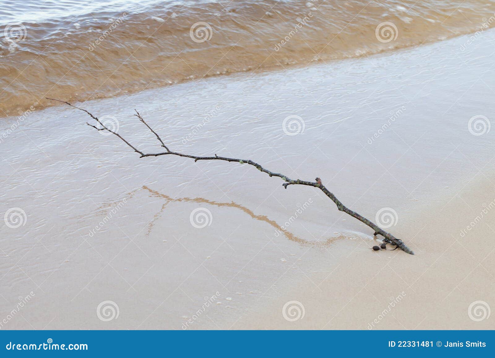 Branch in sand. stock image. Image of calm, sand, tranquil - 22331481