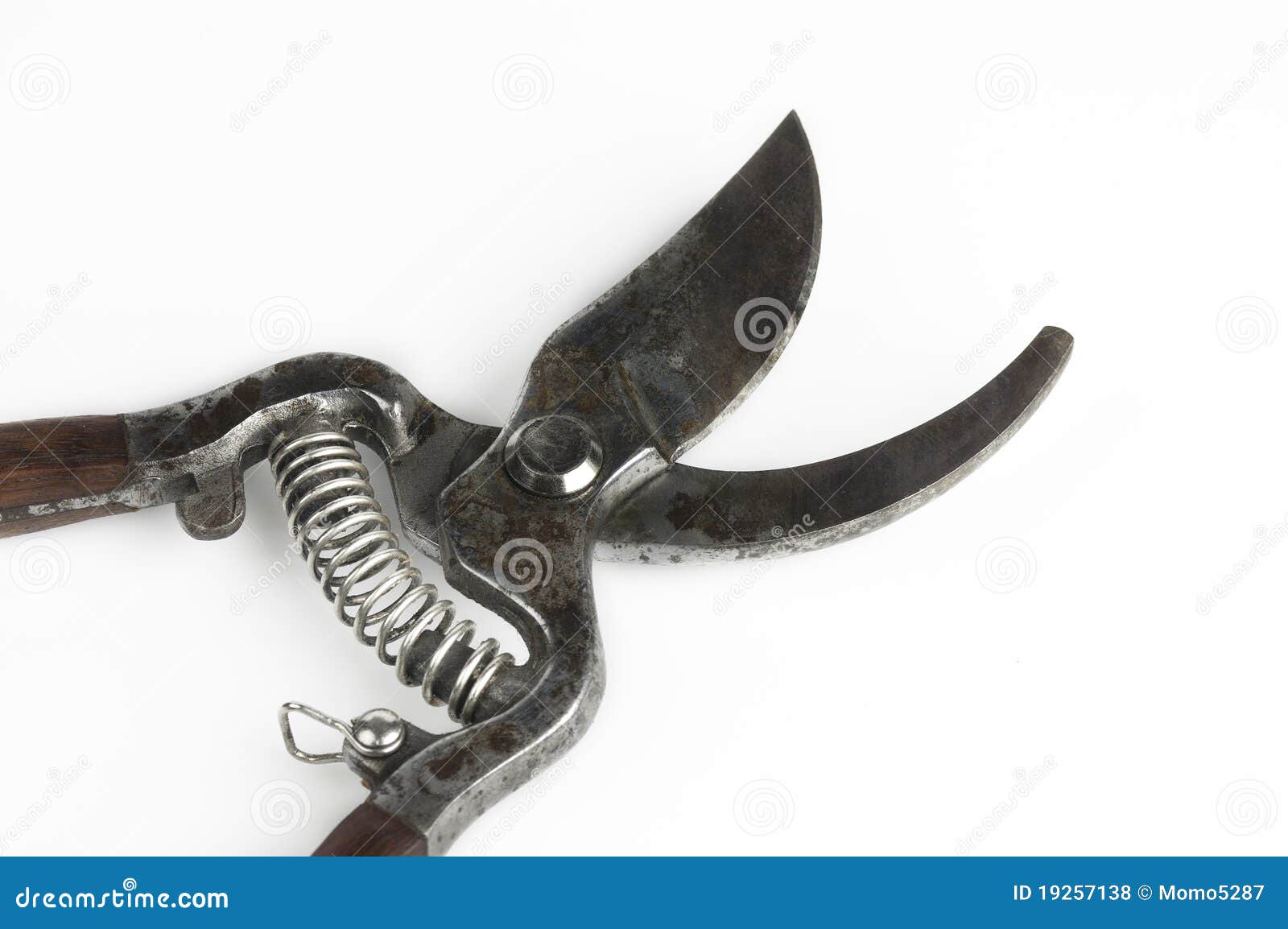 Branch scissors stock photo. Image of shears, outdoors - 19257138