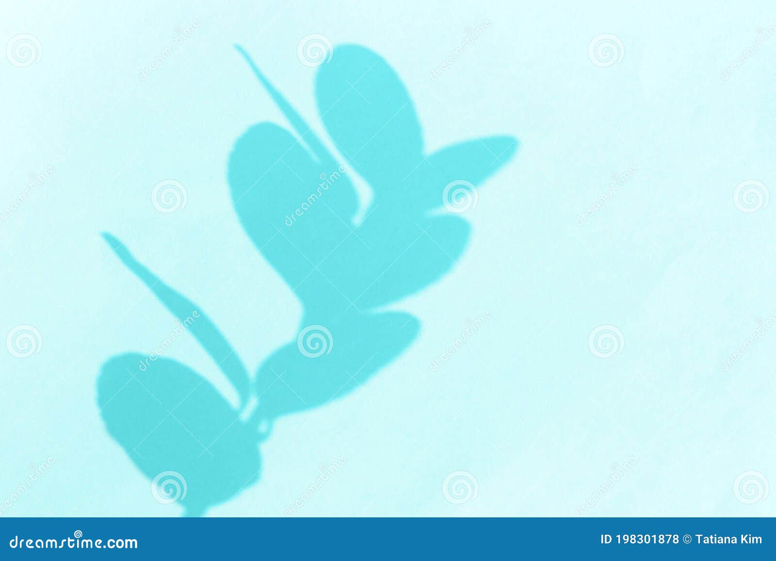 Branch Shadow Isolated on Light Blue Background, Front View Stock Photo ...