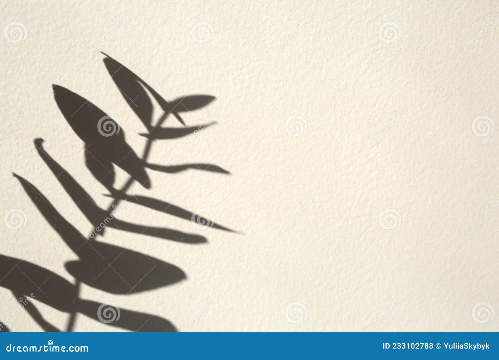 Branch Shadow on White Textured Wall Stock Photo - Image of branch ...