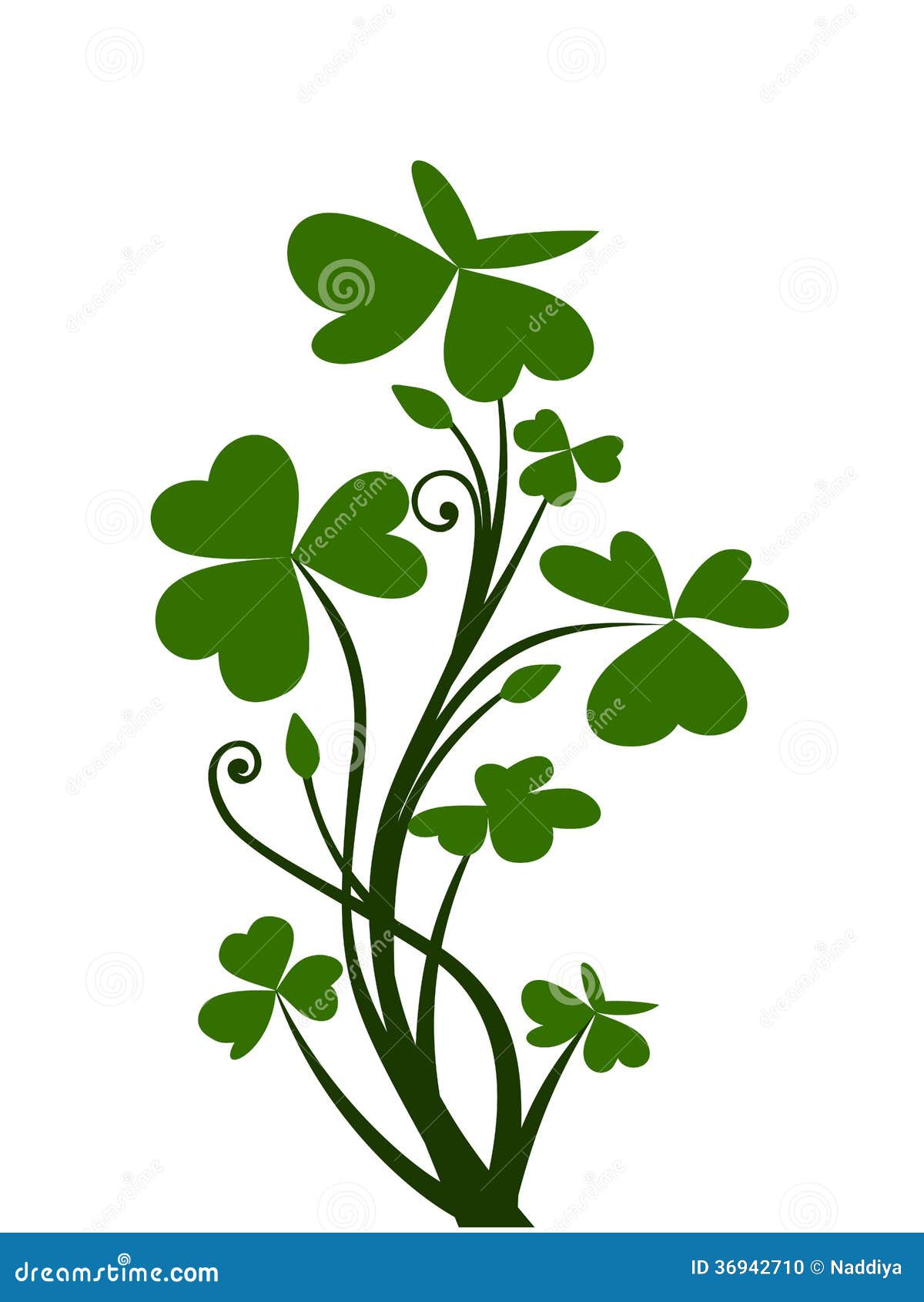 Branch of shamrock. stock vector. Illustration of green - 36942710