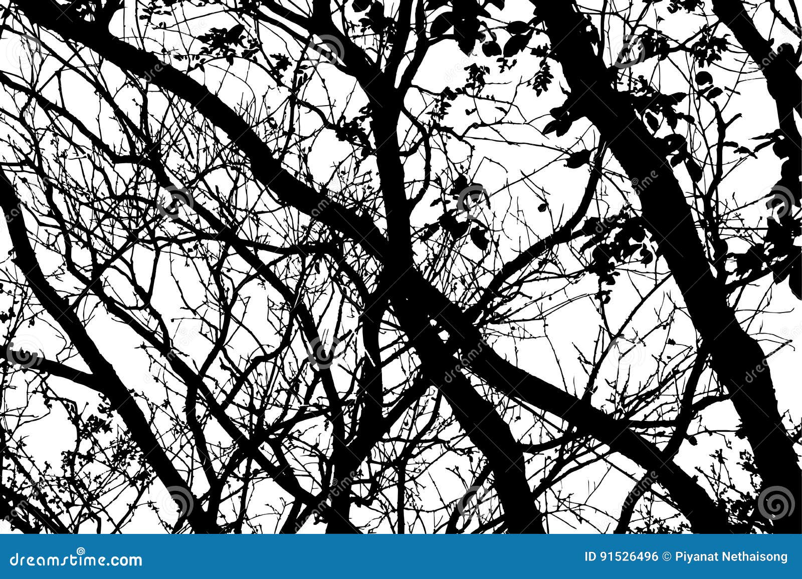 Branch Shape with Black Color. Stock Vector - Illustration of shape ...