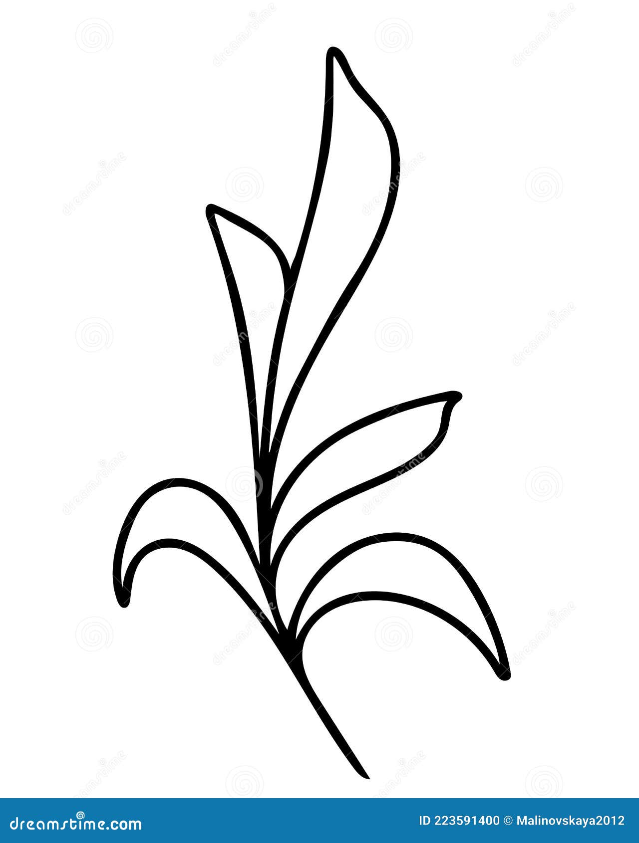 Branch with Sheets, Hand Drawing Vector Illustration. Stock Vector ...