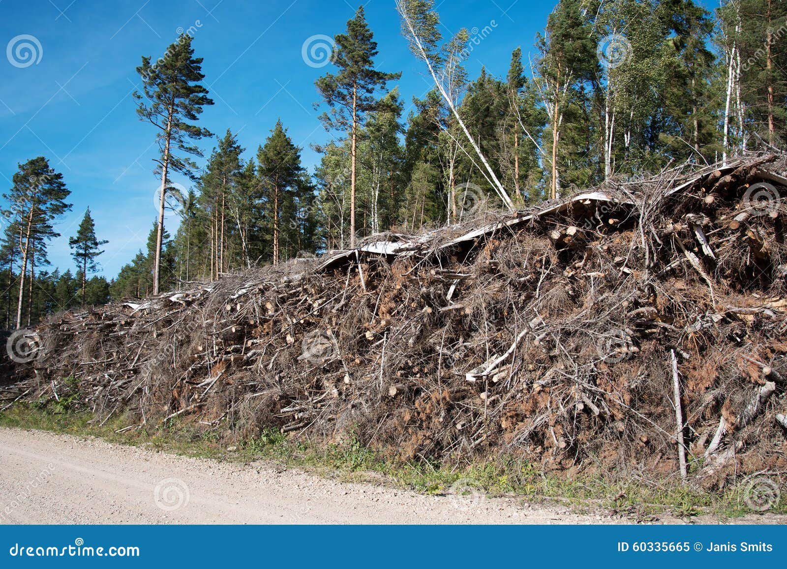 Branch stack. stock image. Image of nature, traditional - 60335665