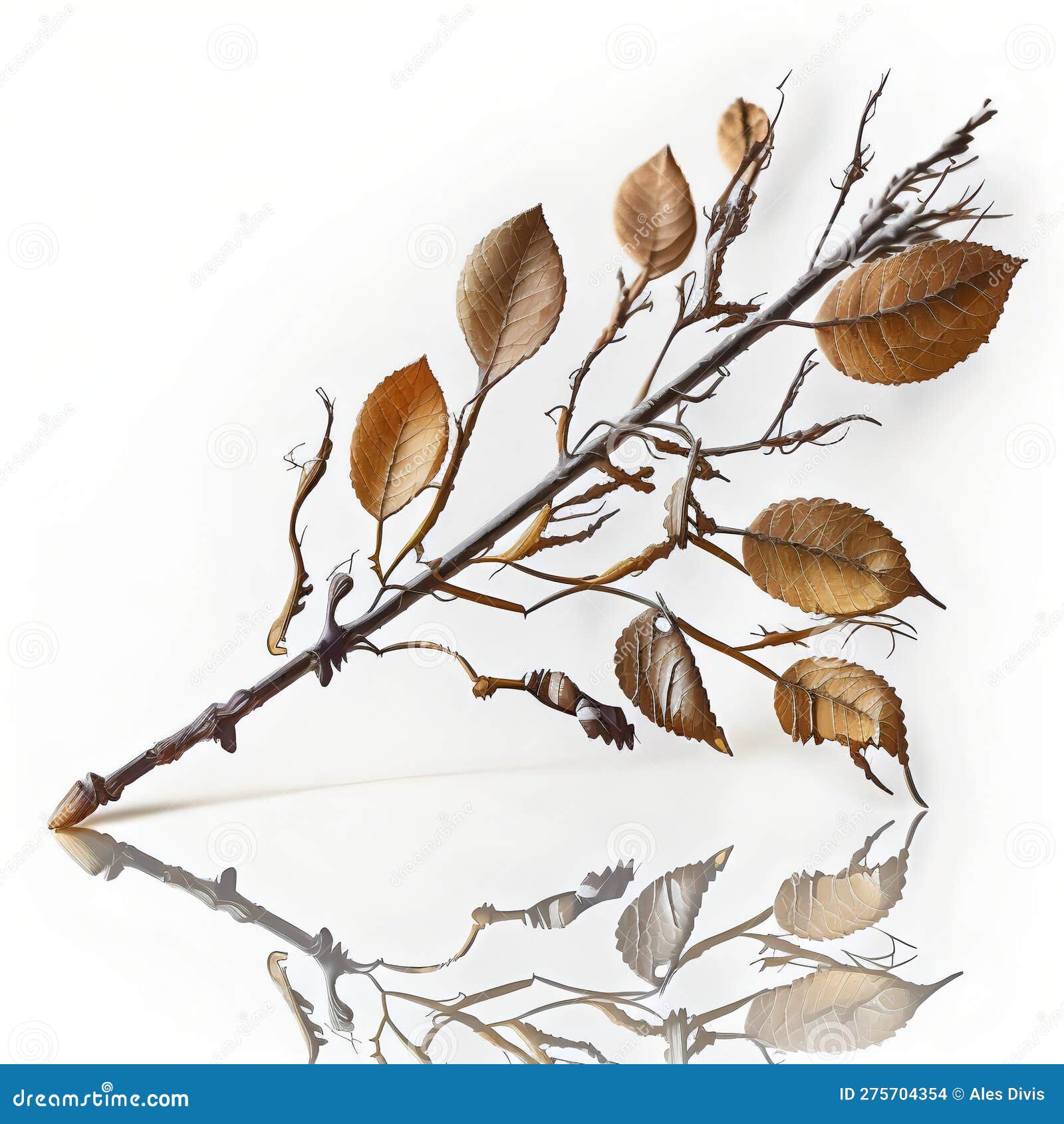 Branch stick illustration stock illustration. Illustration of isolated ...