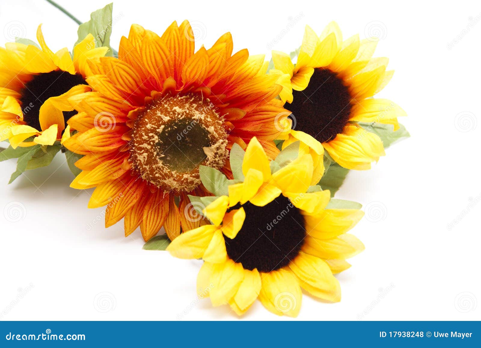 Branch With Sunflowers Picture. Image: 17938248