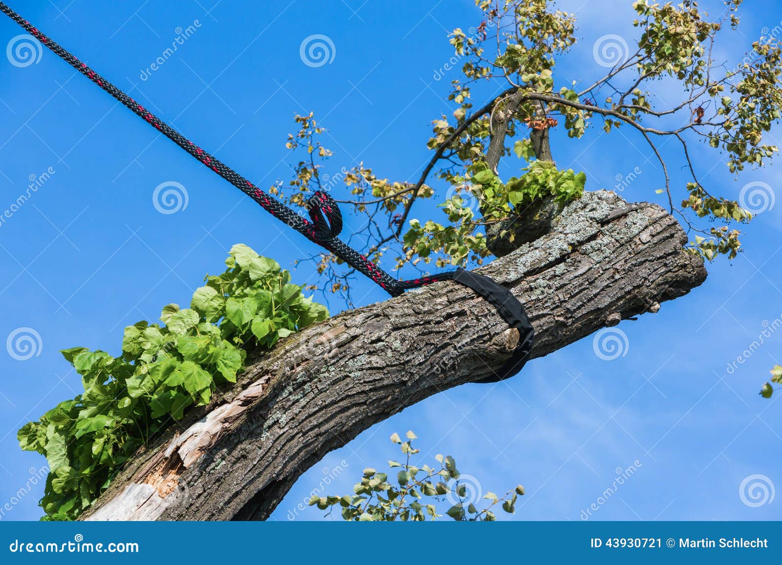 Branch support stock image. Image of illness, medicine - 43930721