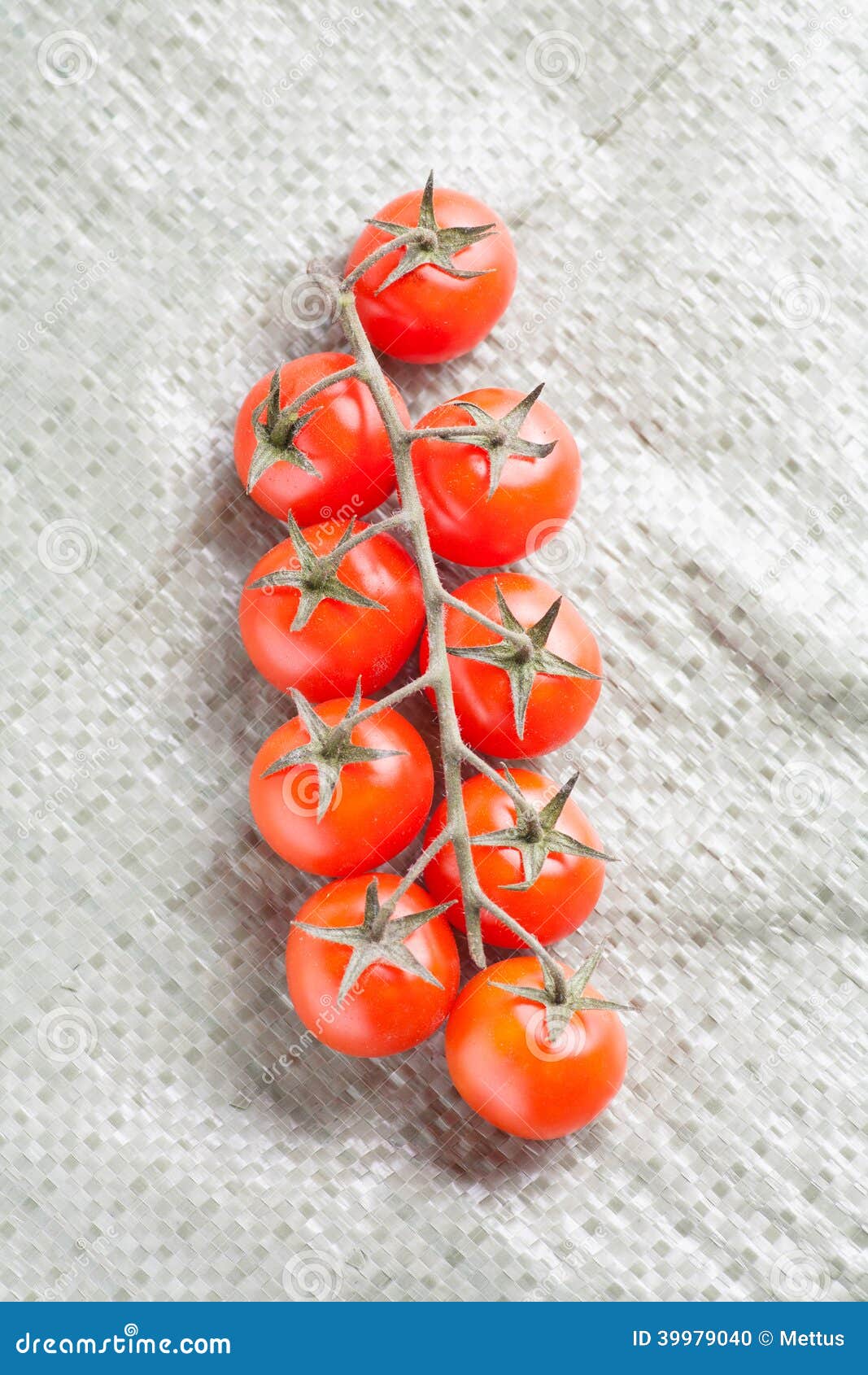 Branch of Tomatoes from Above Stock Photo - Image of cherry, people ...
