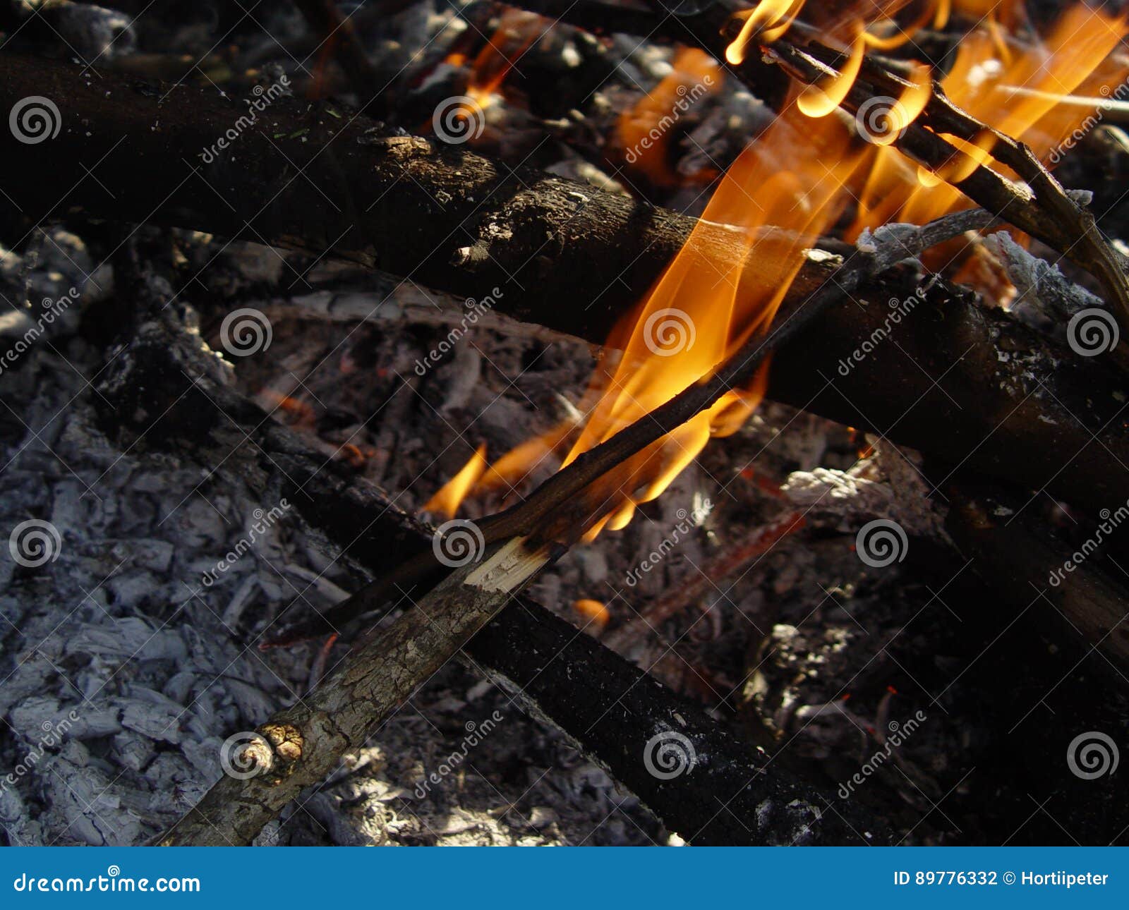 Branch tree fire stock photo. Image of fire, summer, horizontal - 89776332