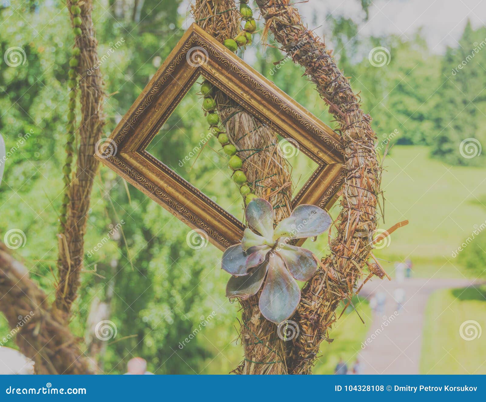 Frame and Flower on the Branch of a Tree Stock Photo - Image of outdoor ...