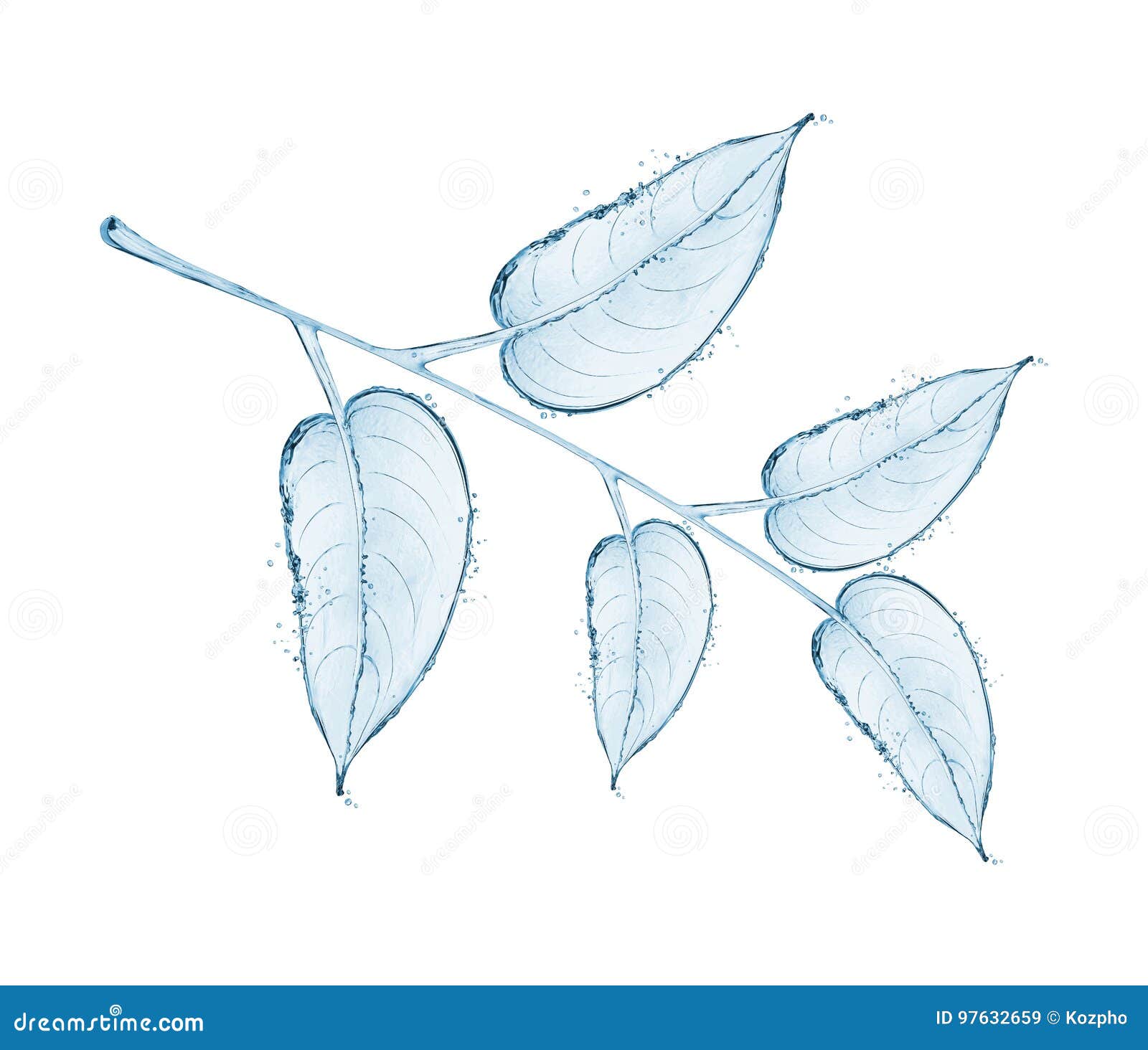 Branch of a Tree with Leaves, Made of Water Splashes Stock Image ...