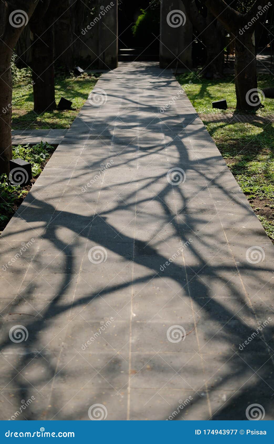 Branch Tree Shadow on Walkway Pathway in Garden Stock Image - Image of ...