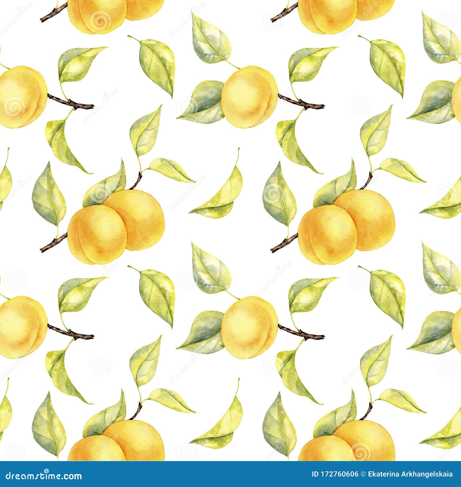 Branche De Dessin D'abricots Aquarelle Illustration Stock ... Branche De Dessin D'abricots Aquarelle Illustration Stock ...
