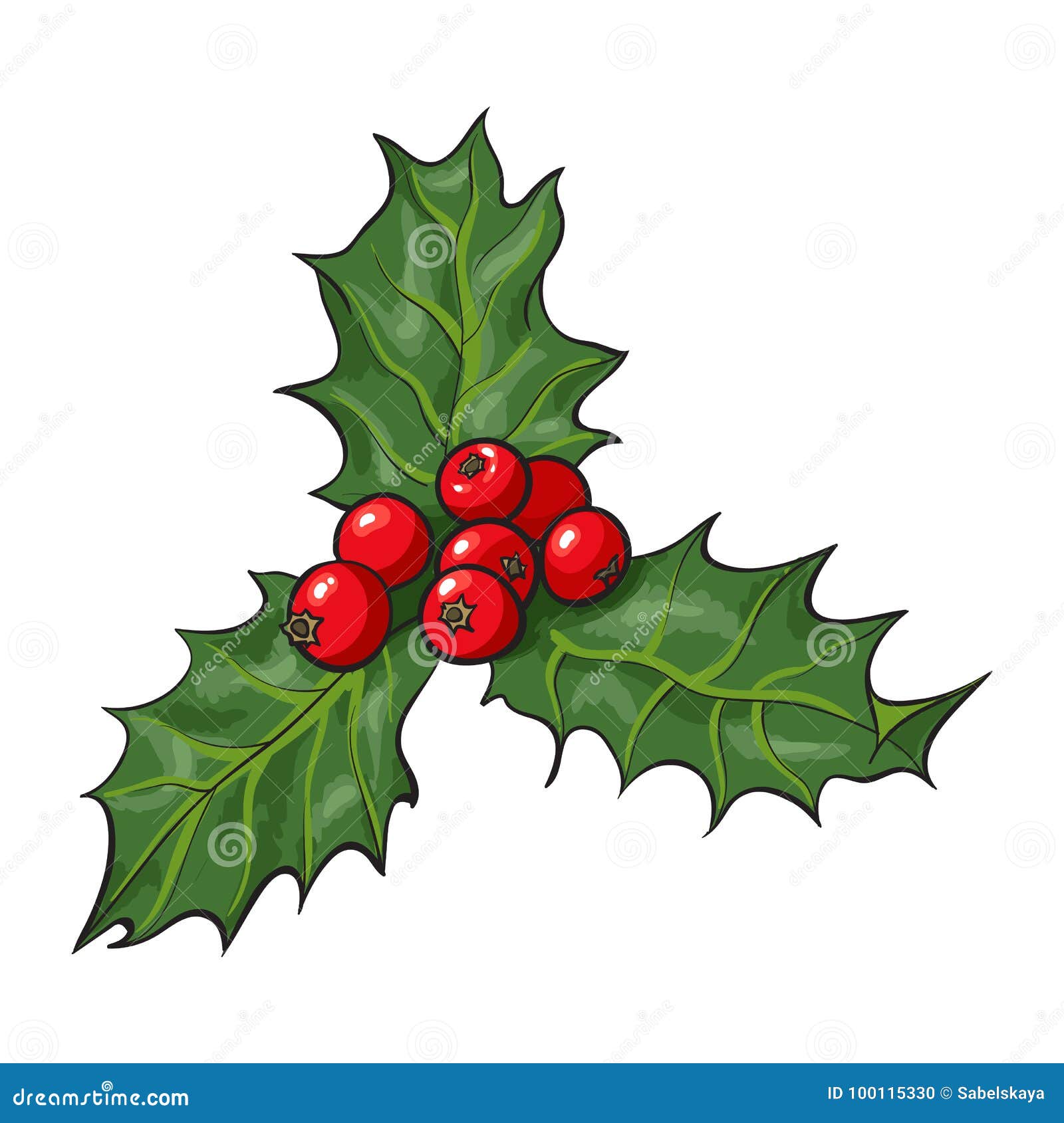 Branche De Gui Avec Des Feuilles Et Des Baies Illustration de Vecteur ...