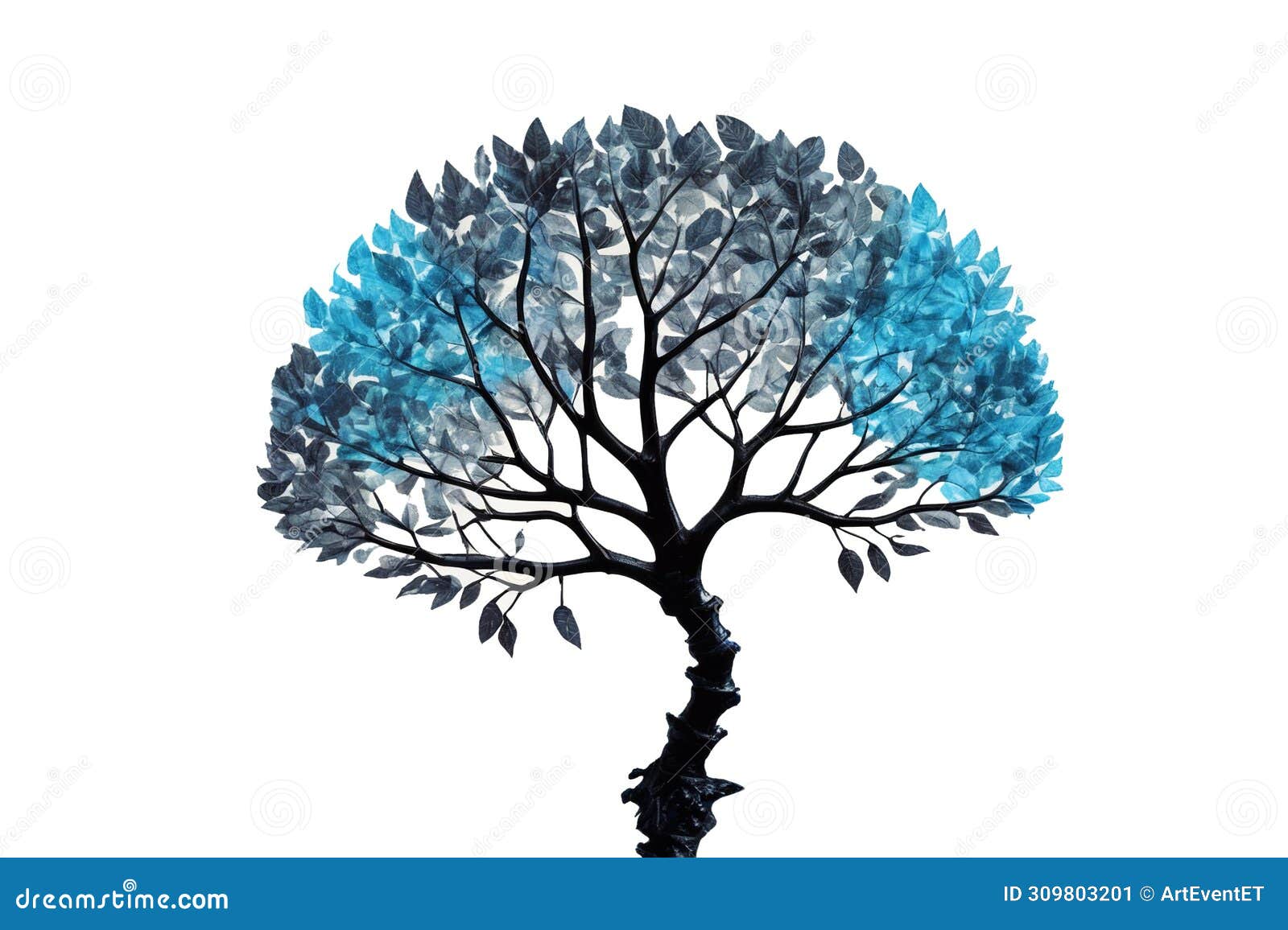 Branched Tree with Blue Leaves on White Background Stock Illustration ...