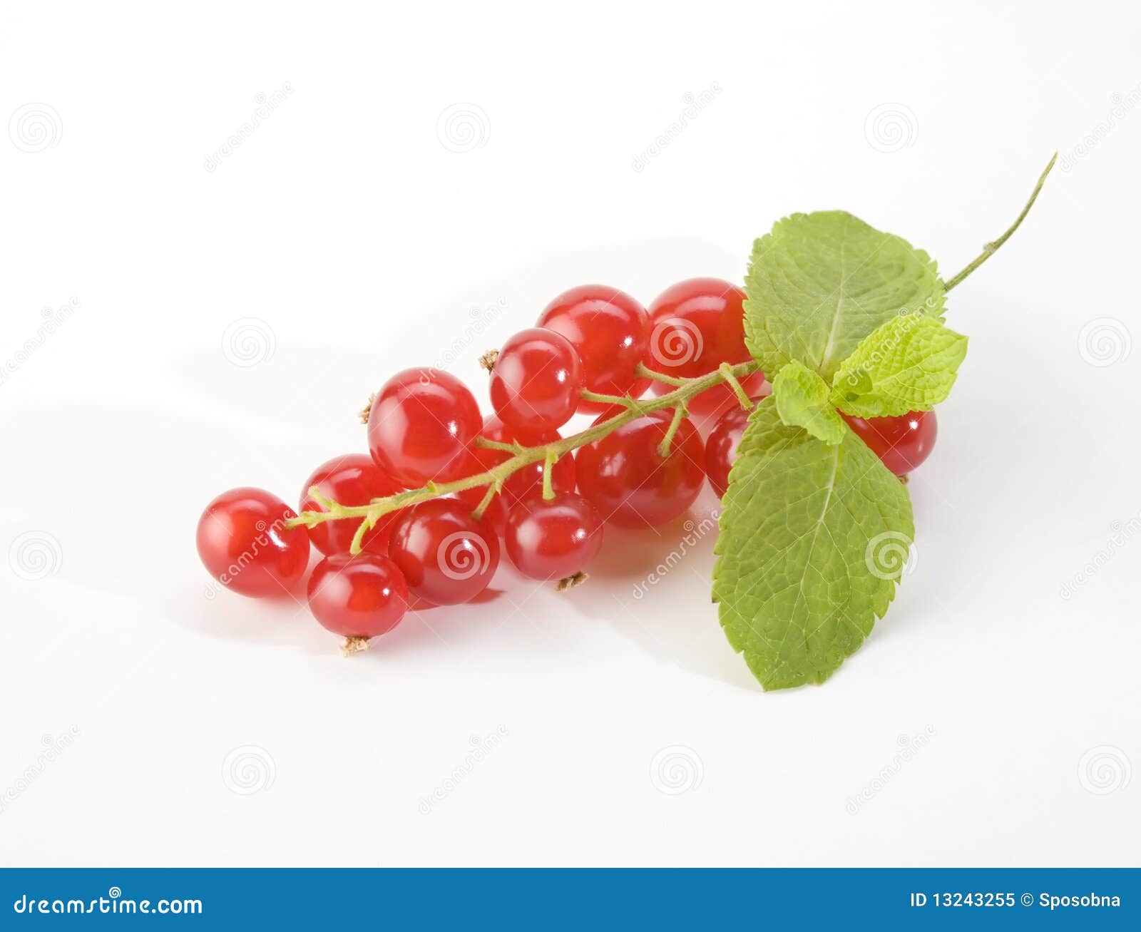 Branchement D'une Groseille Rouge Image stock - Image du manger ...