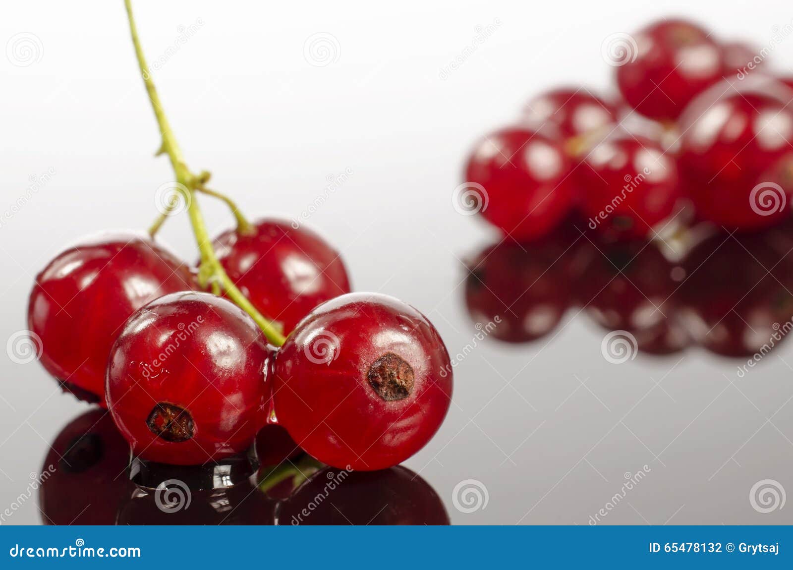 Branchement Des Groseilles Rouges Photo stock - Image du dieting ...