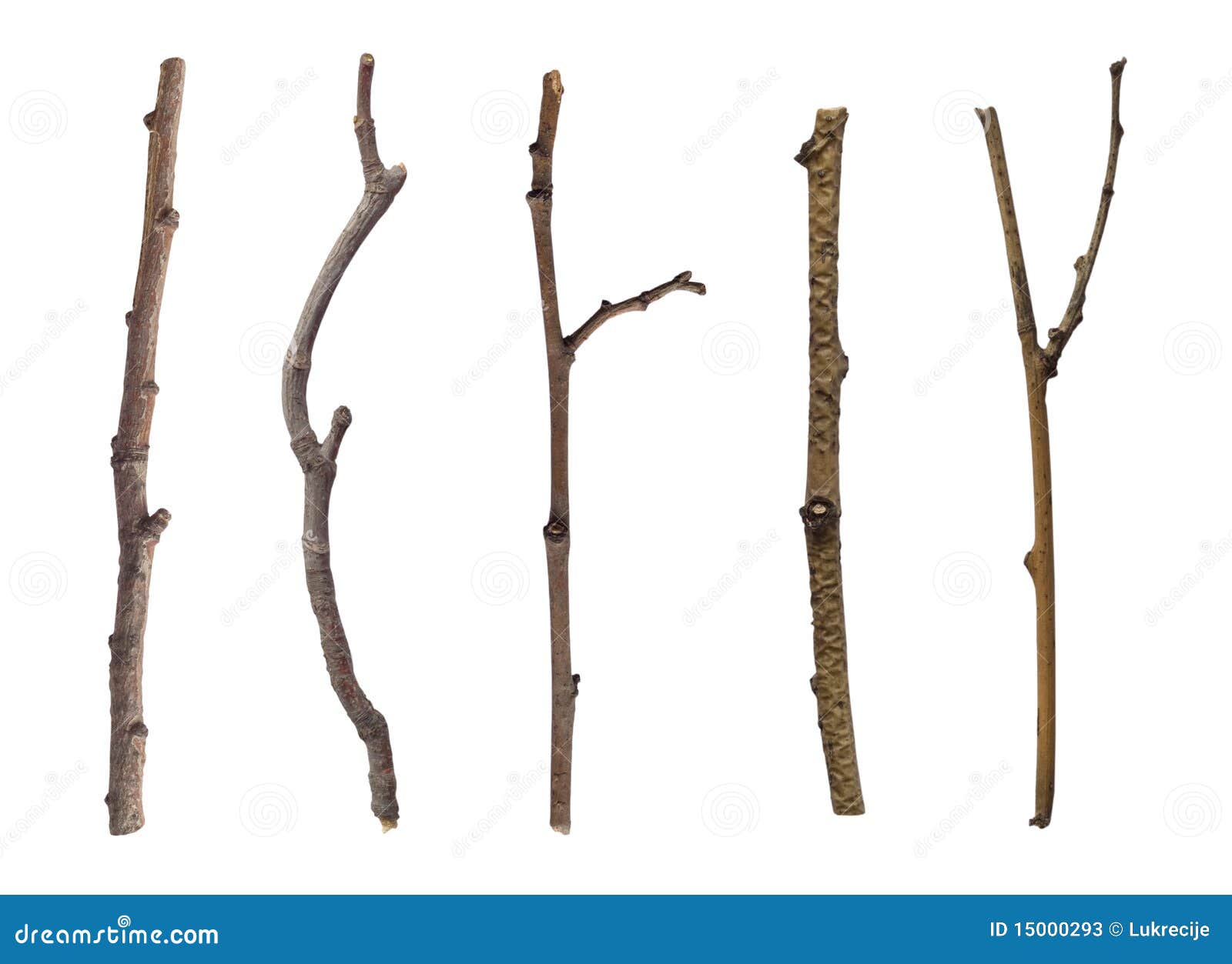 Branches stock image. Image of structure, wood, natural - 15000293