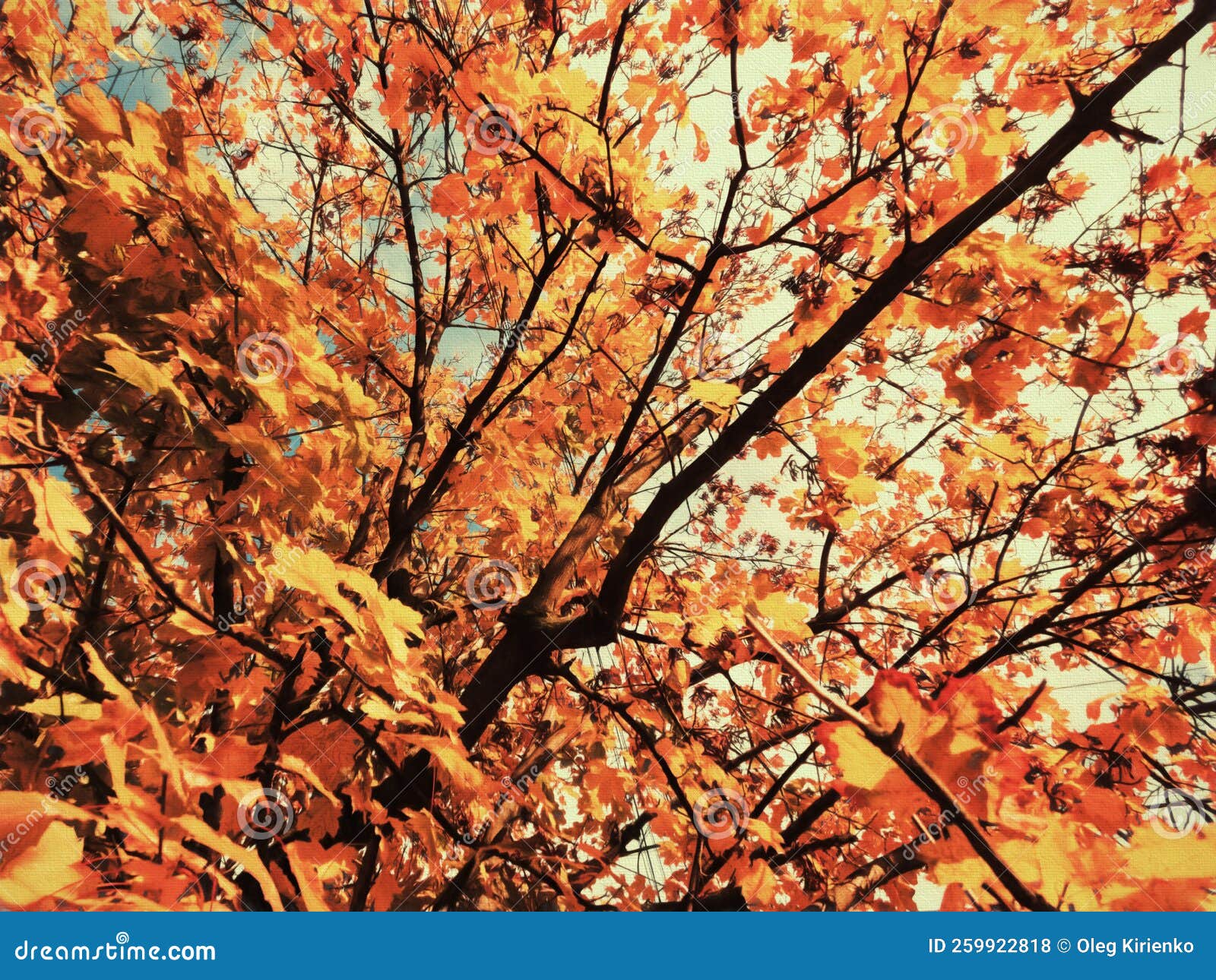 Branches of Autumn Trees with Yellow Leaves. Illustration Stock Photo ...