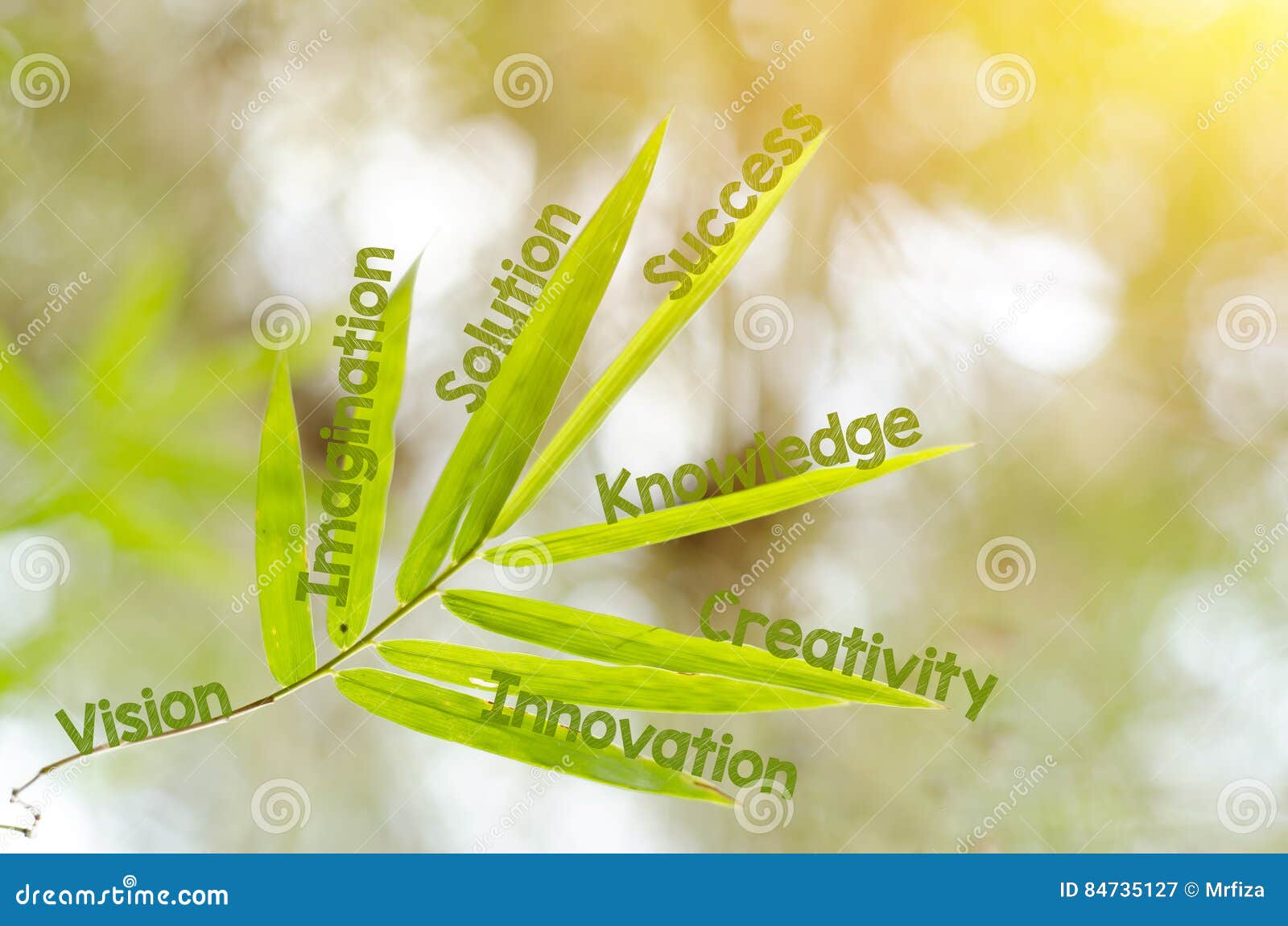 Branches of Bamboo Leaf As a Mind Map Concept Stock Image - Image of ...
