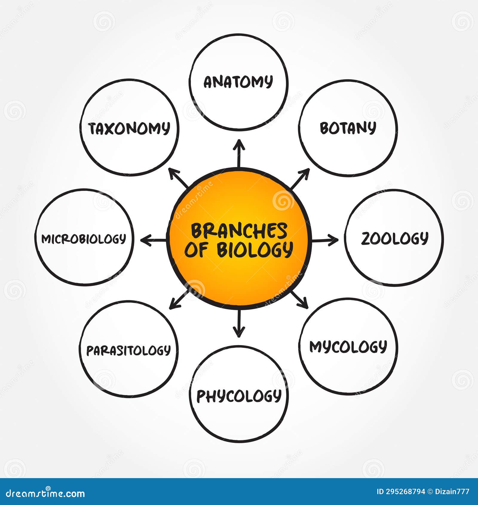 Branches of Biology Mind Map Text Concept for Presentations and Reports ...