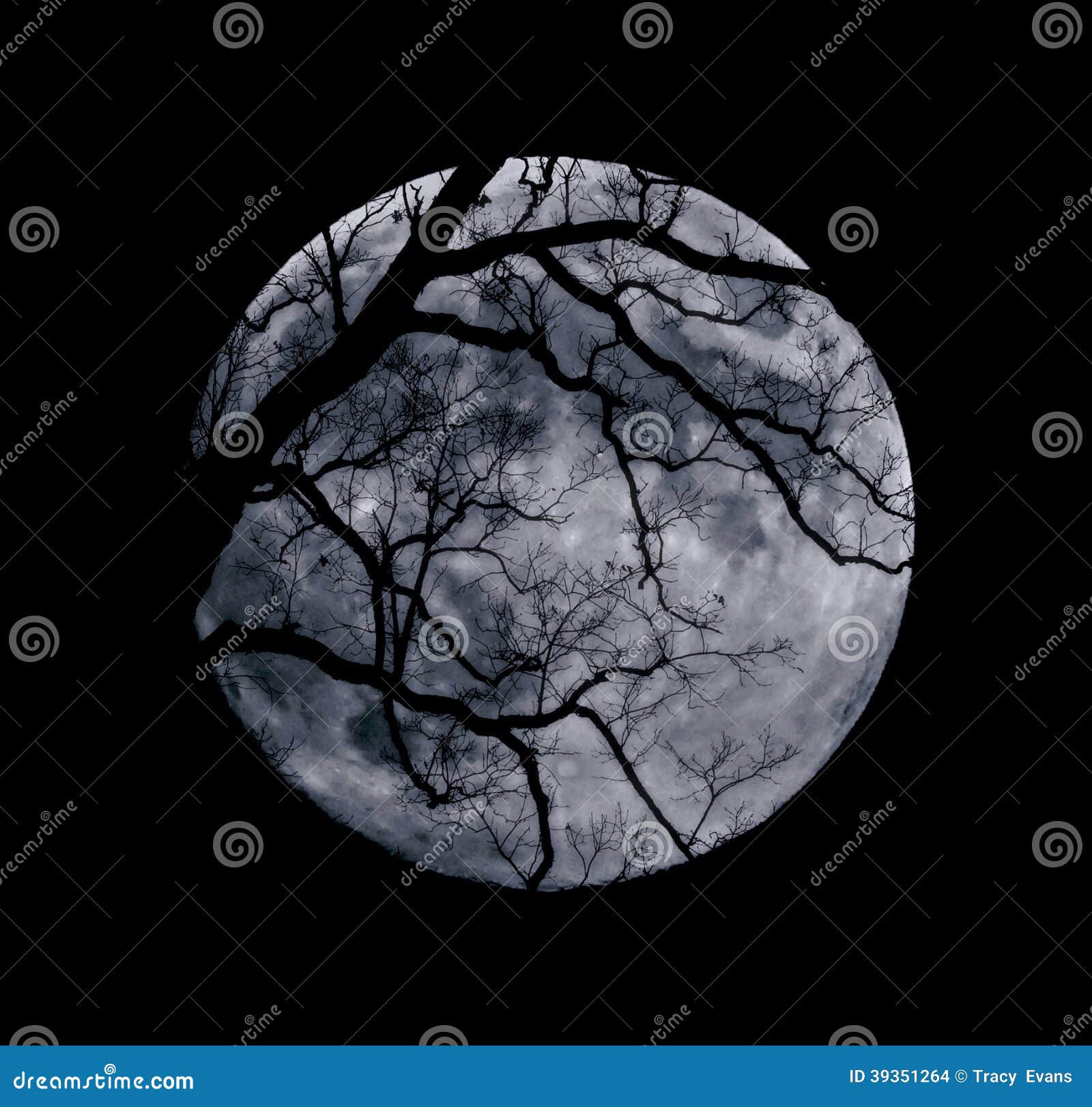 Branches and a Blue Moon stock photo. Image of eerie - 39351264