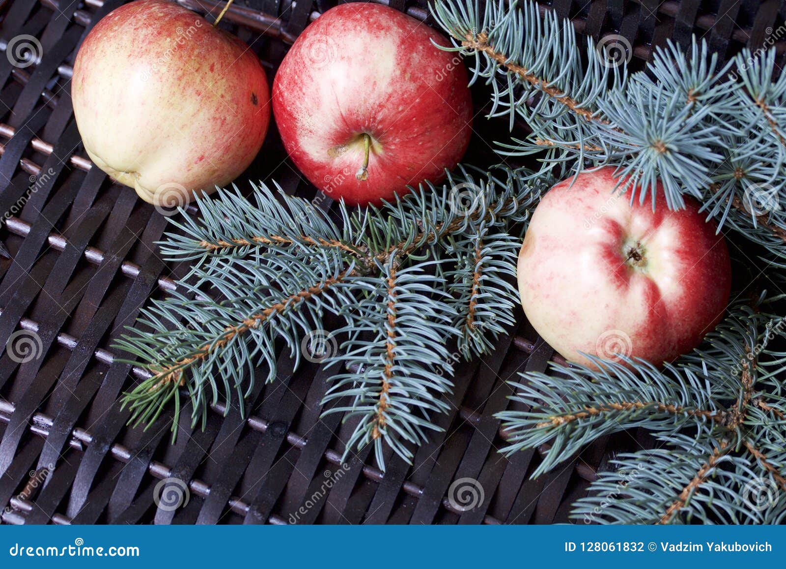 Branches of Blue Spruce and Ripe Fragrant Apples. Against the ...